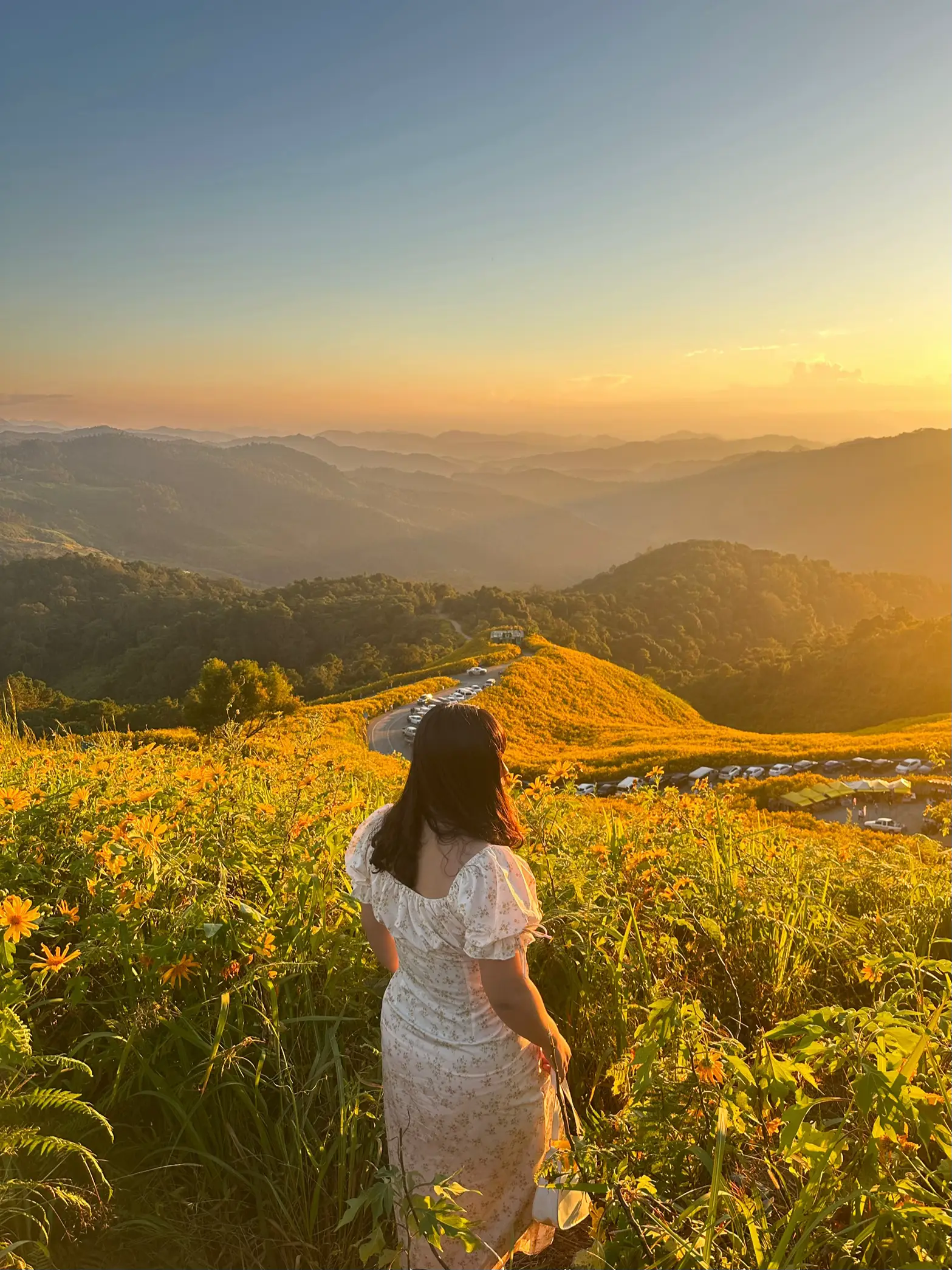 ทุ่งบัวตองดอยแม่อูคอ | แกลเลอรีที่โพสต์โดย CH OM | Lemon8