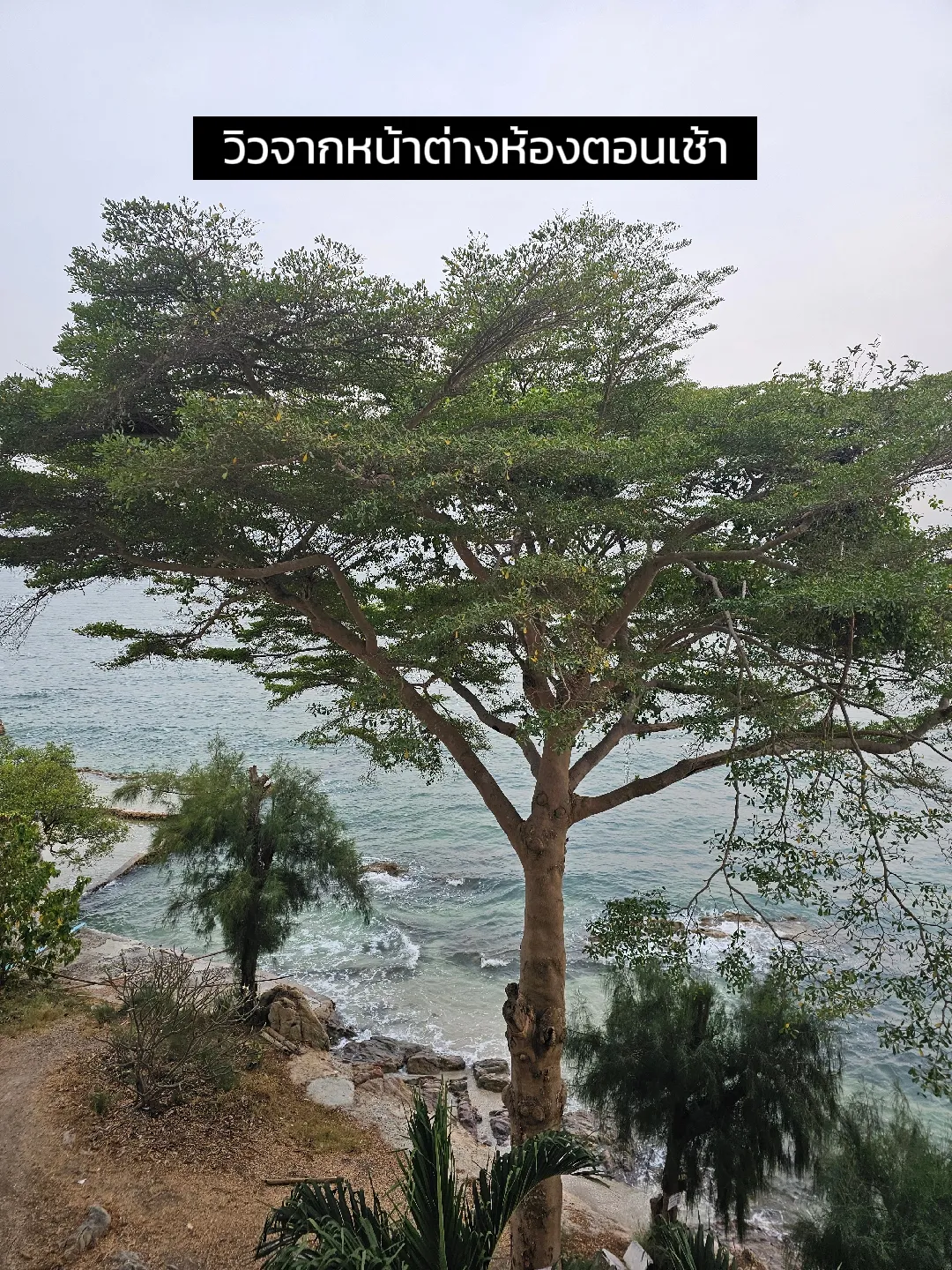 ที่พัก เขาสามมุข รีสอร์ท บางแสน ชลบุรี🌊 | แกลเลอรีที่โพสต์โดย L!OinG | Lemon8