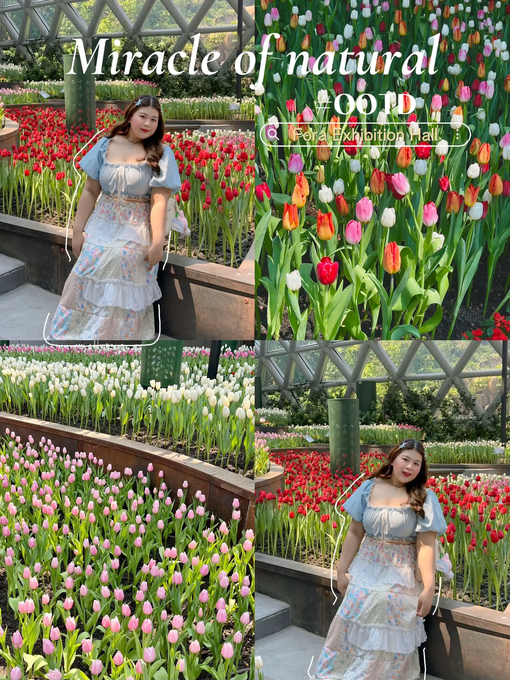 OOTD Miracle of natural🌷🫶🏻 สวนทิวลิประยอง 2025 | แกลเลอรีที่โพสต์โดย ...