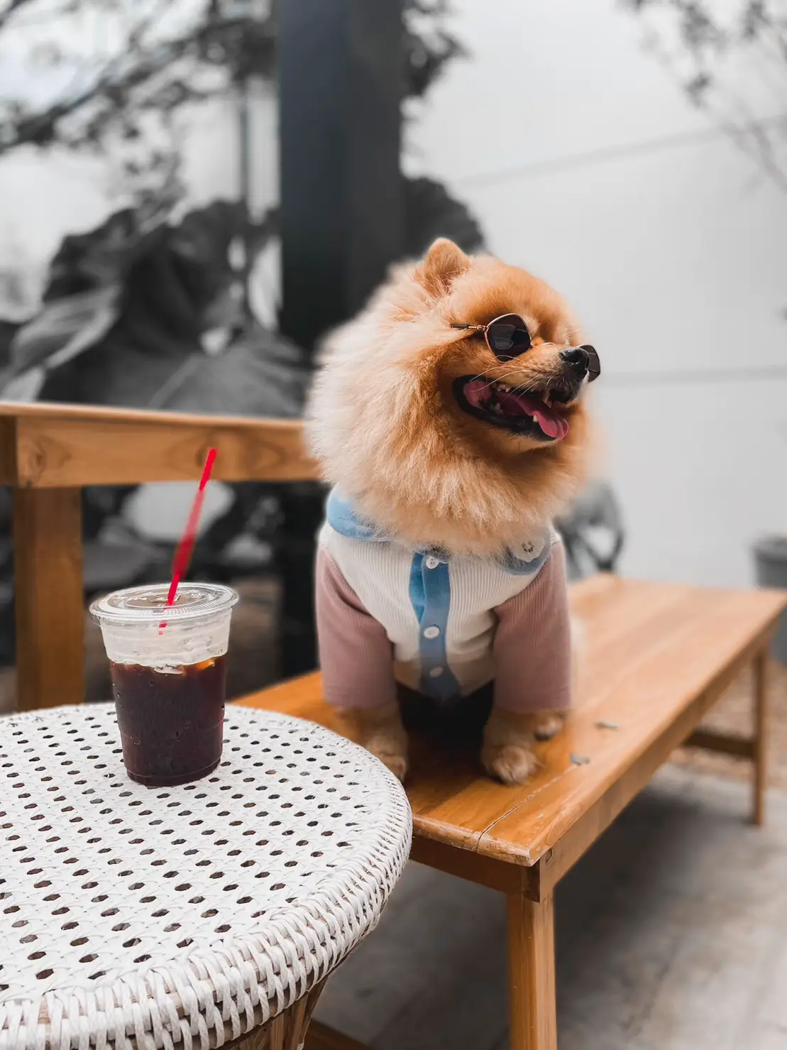 ☕️ PYGG Coffee ☕️ | แกลเลอรีที่โพสต์โดย earn_ponin | Lemon8