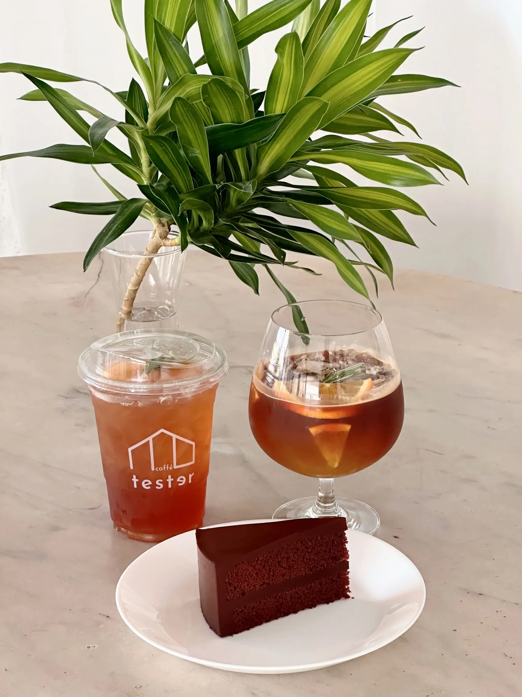 Tester Cafe คาเฟ่ฝั่งธนสุดชิล 🍋 | แกลเลอรีที่โพสต์โดย Fern ファーン | Lemon8