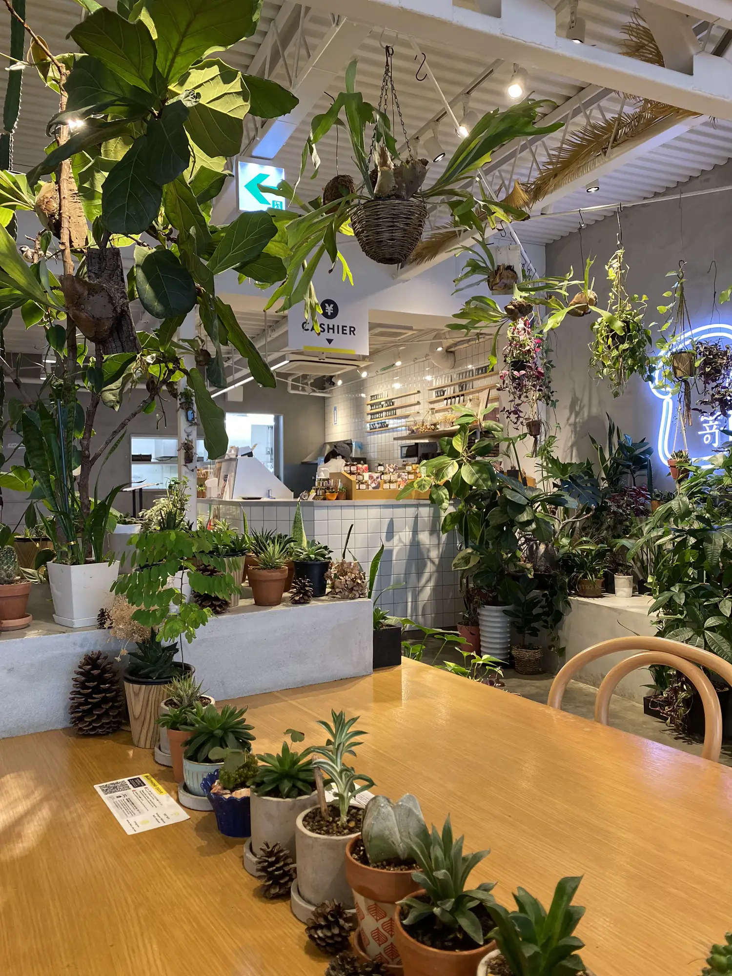 ใครชอบกินขนมปัง ต้องร้านนี้เลย Sakimoto Bakery Cafe | แกลเลอรีที่โพสต์ ...