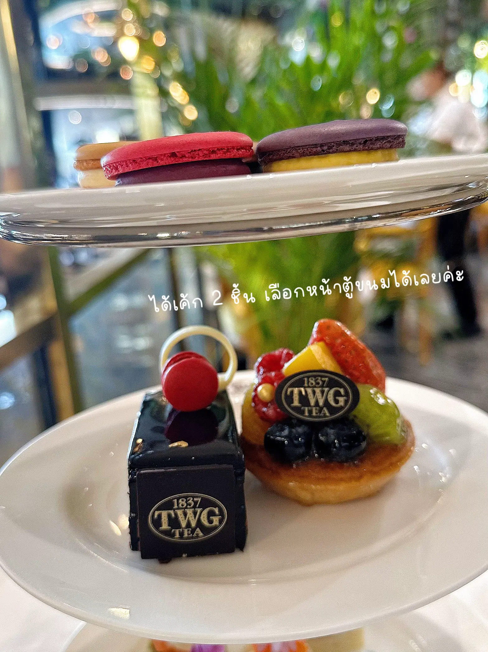 จิบชารับลมหนาวที่ TWG Tea Salon&Boutique 🫖🌱 | แกลเลอรีที่โพสต์โดย ...