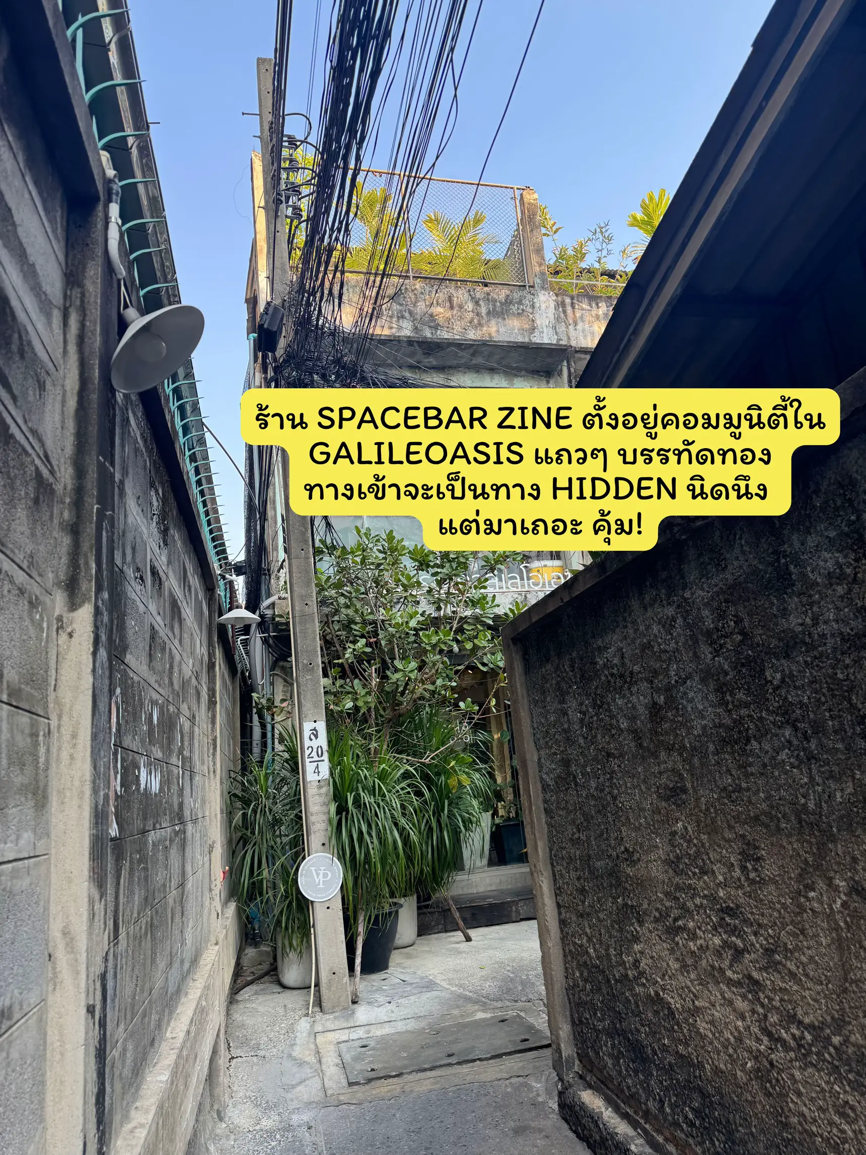 📖 Spacebar Zine พื้นที่ของคนรักงานพิมพ์อิสระ 🎨📖📙 | แกลเลอรีที่โพสต์โดย แอมอุ๋ง | Lemon8