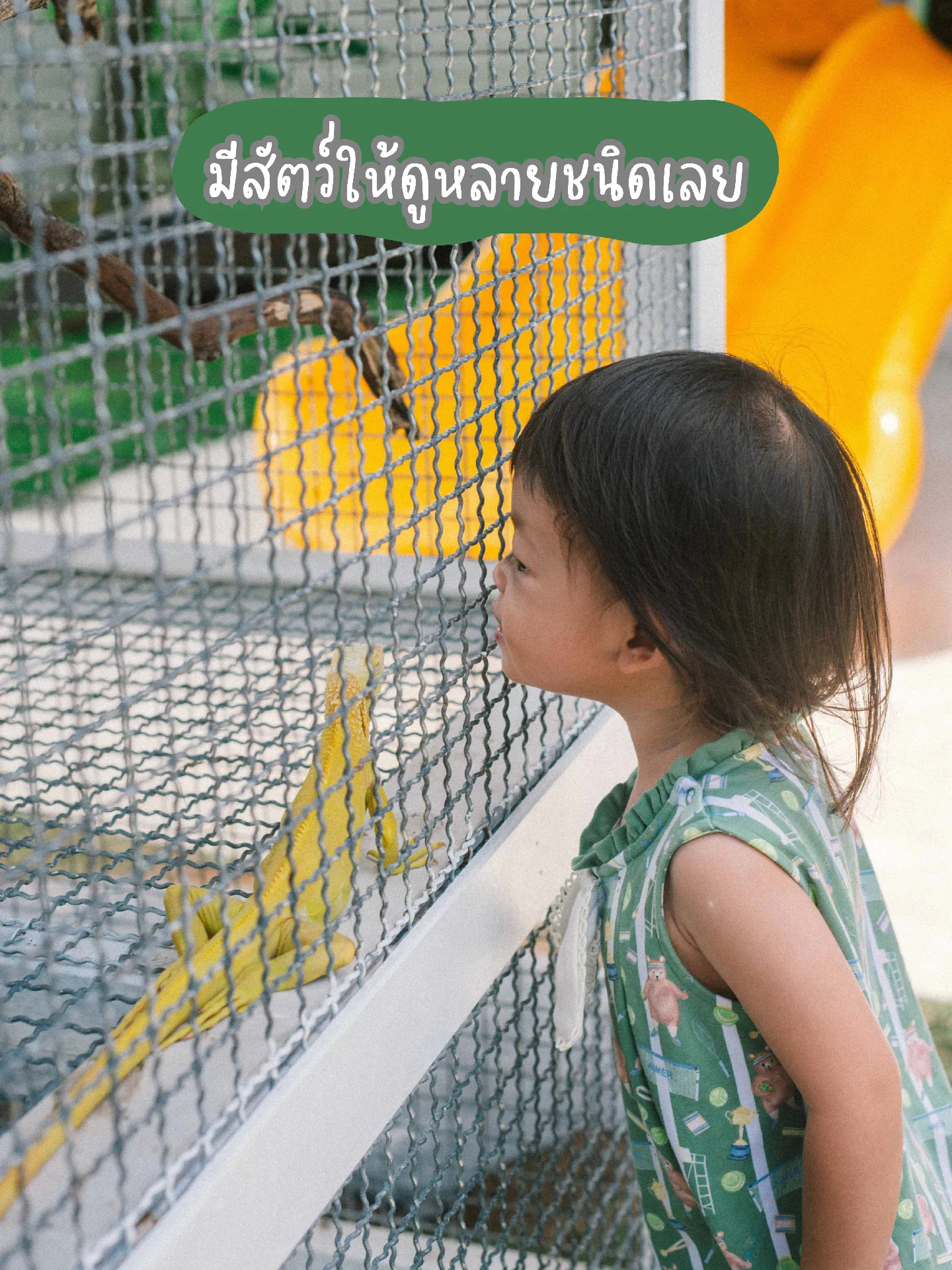 ป้าบุญคาเฟ่ | แกลเลอรีที่โพสต์โดย Pakwan&mommy | Lemon8