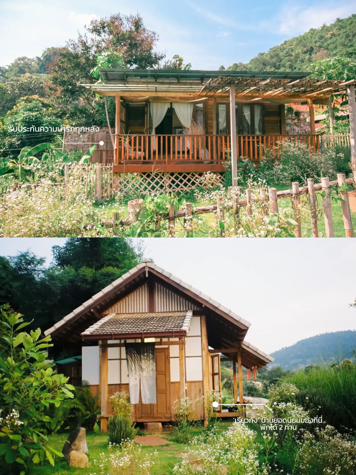 Mori Natural Farm โมริ เนเชอรัลฟาร์ม เชียงใหม่ 🏮🛖 | แกลเลอรีที่โพสต์โดย ...