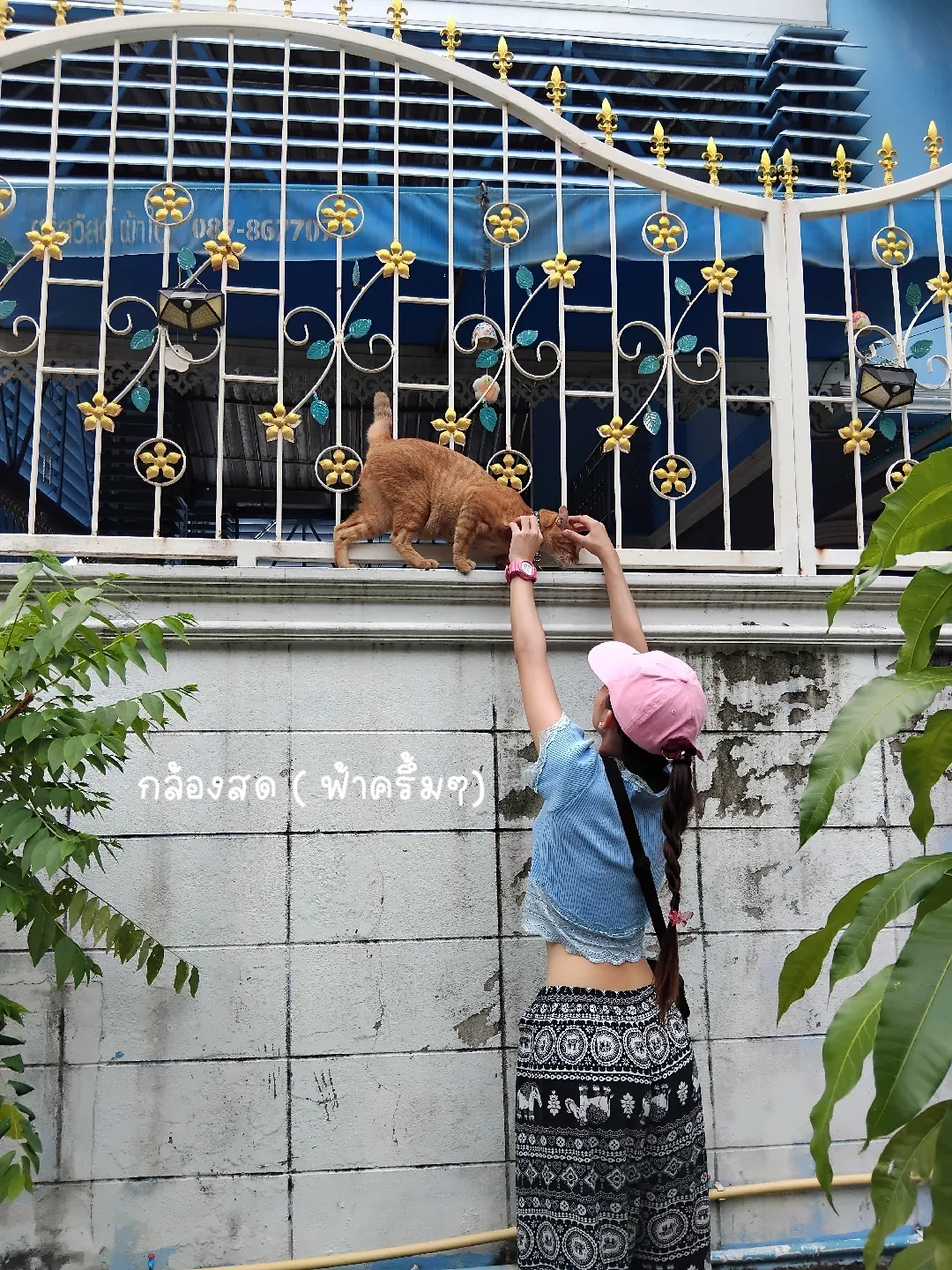 รีวิวกล้อง Samsung A 05s | แกลเลอรีที่โพสต์โดย Jah Ja | Lemon8