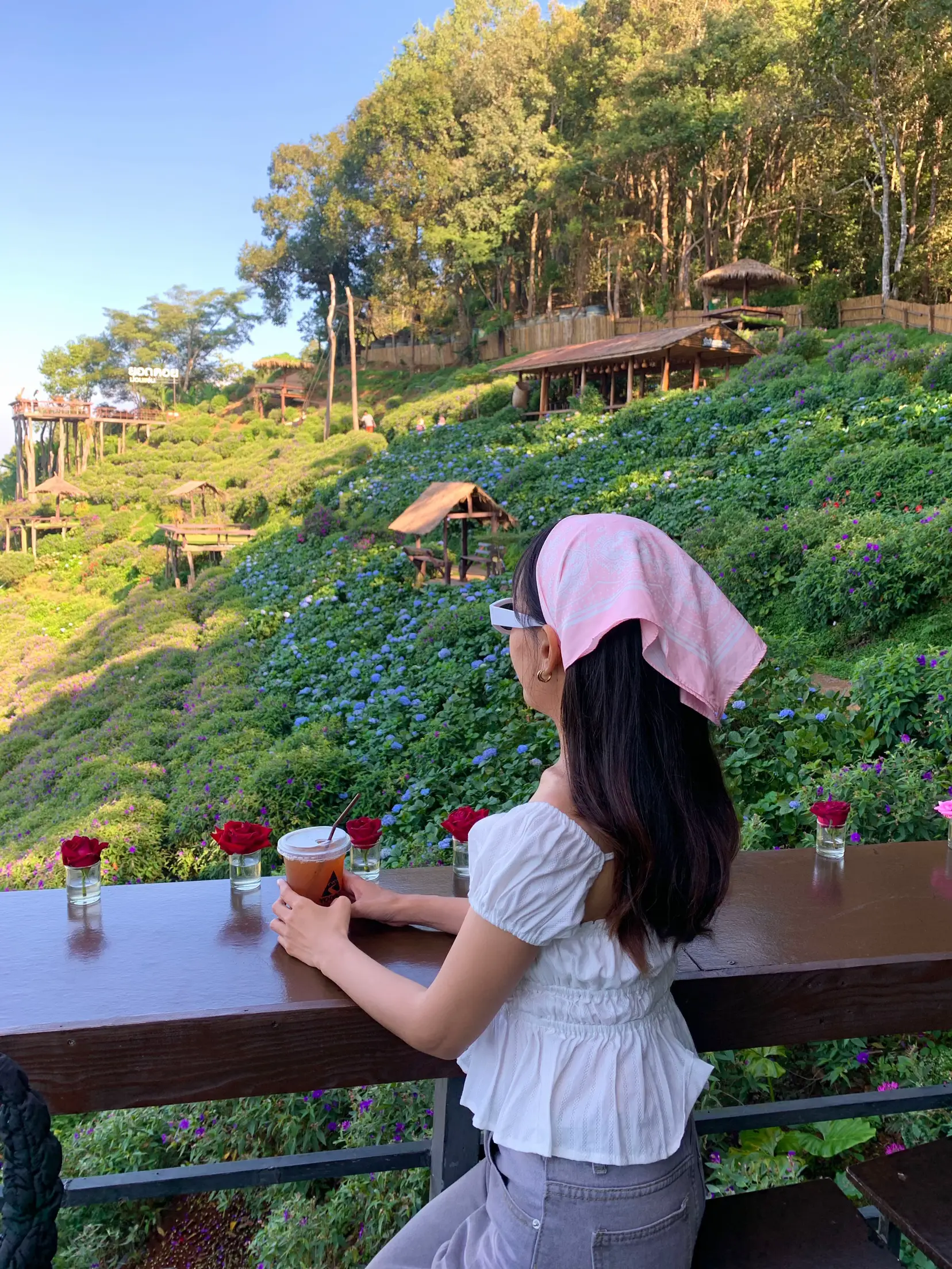 ยอดดอยม่อนแจ่ม | แกลเลอรีที่โพสต์โดย MAPRANG ♡ | Lemon8