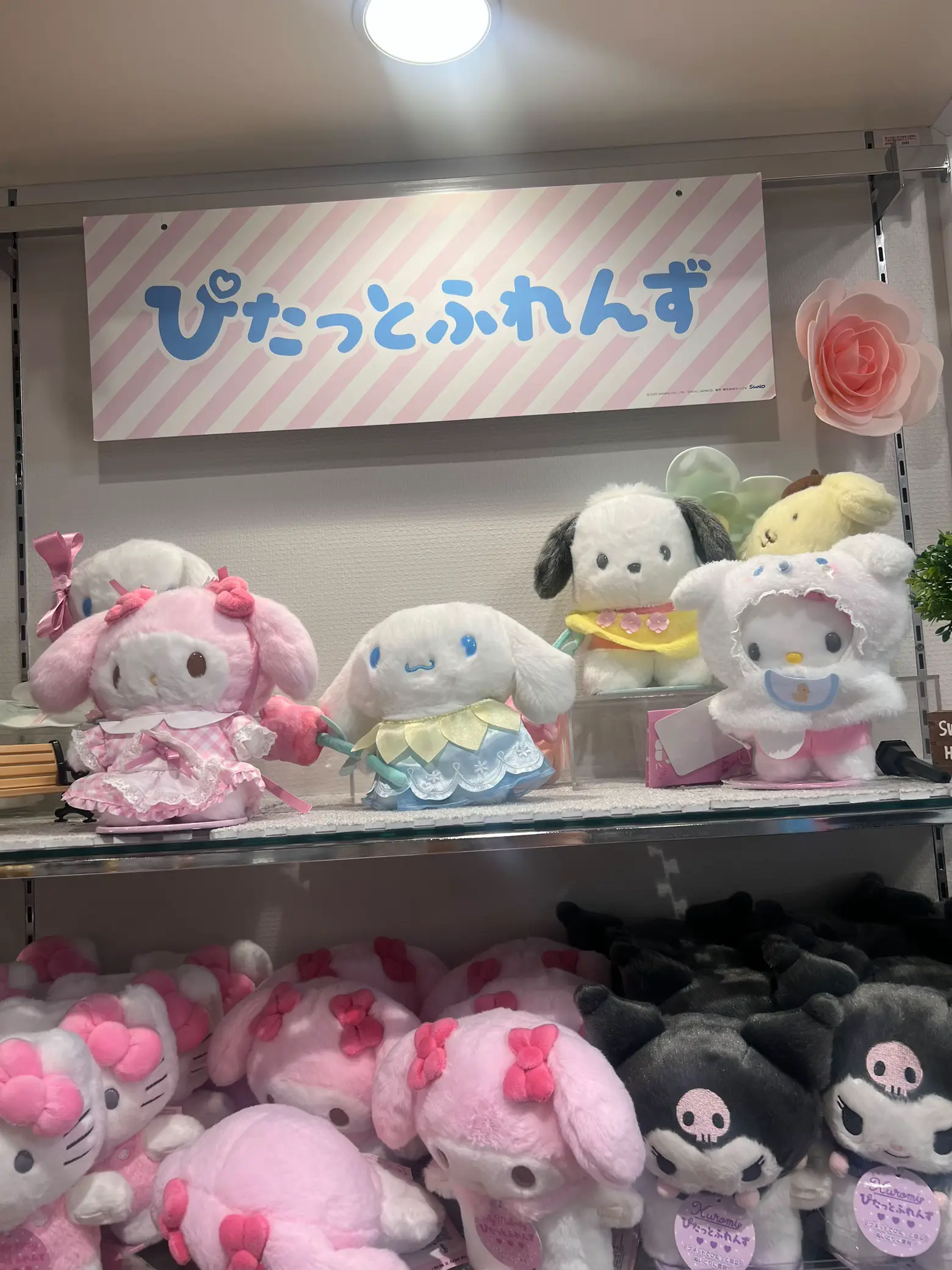 Sanrio shop @tokyo | แกลเลอรีที่โพสต์โดย miintps | Lemon8