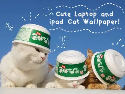 Cute Laptop andIpad Cat Wallpaper! | Galeri disiarkan oleh jes * ੈ ‧˚ | Lemon8