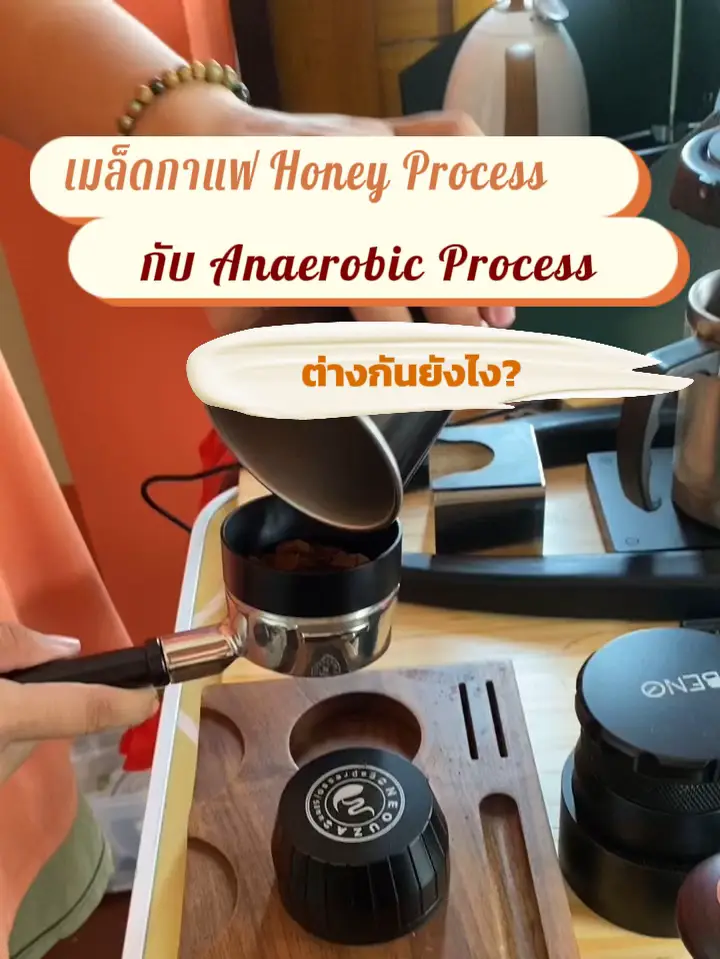 เมล็ดกาแฟต่างกันยังไง | 2024 ประสบการณ์ผู้ใช้จริงบน Lemon8