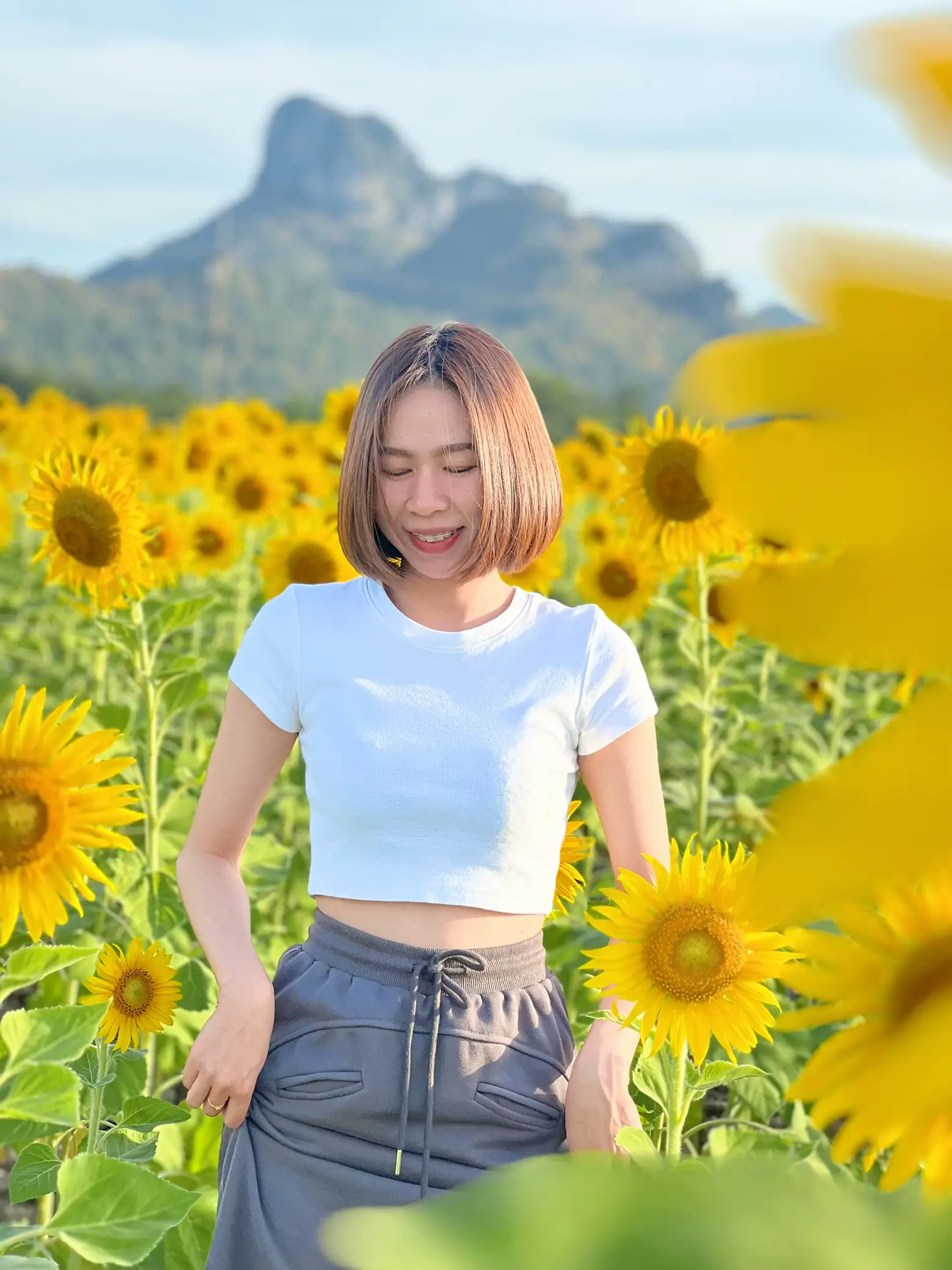 ทุ่งทานตะวันลพบุรี | แกลเลอรีที่โพสต์โดย Lada_🤍 | Lemon8