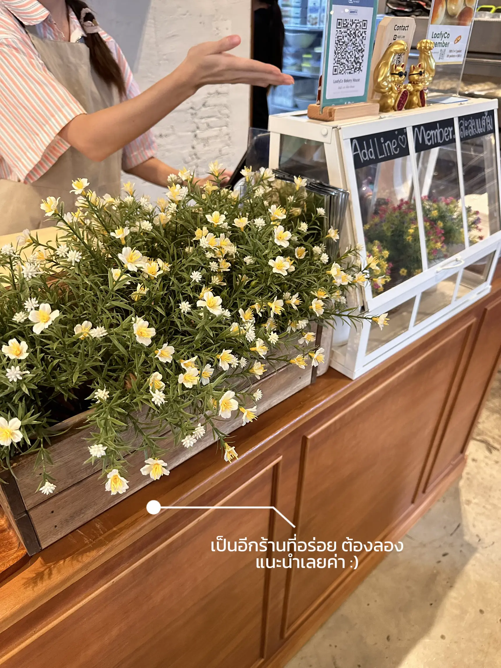 นาทีนี้ ต้องลอง! ขนมปัง🥨 ร้านดัง LOAFY Co ย่านลาซาล💛 | แกลเลอรีที่โพสต์ ...