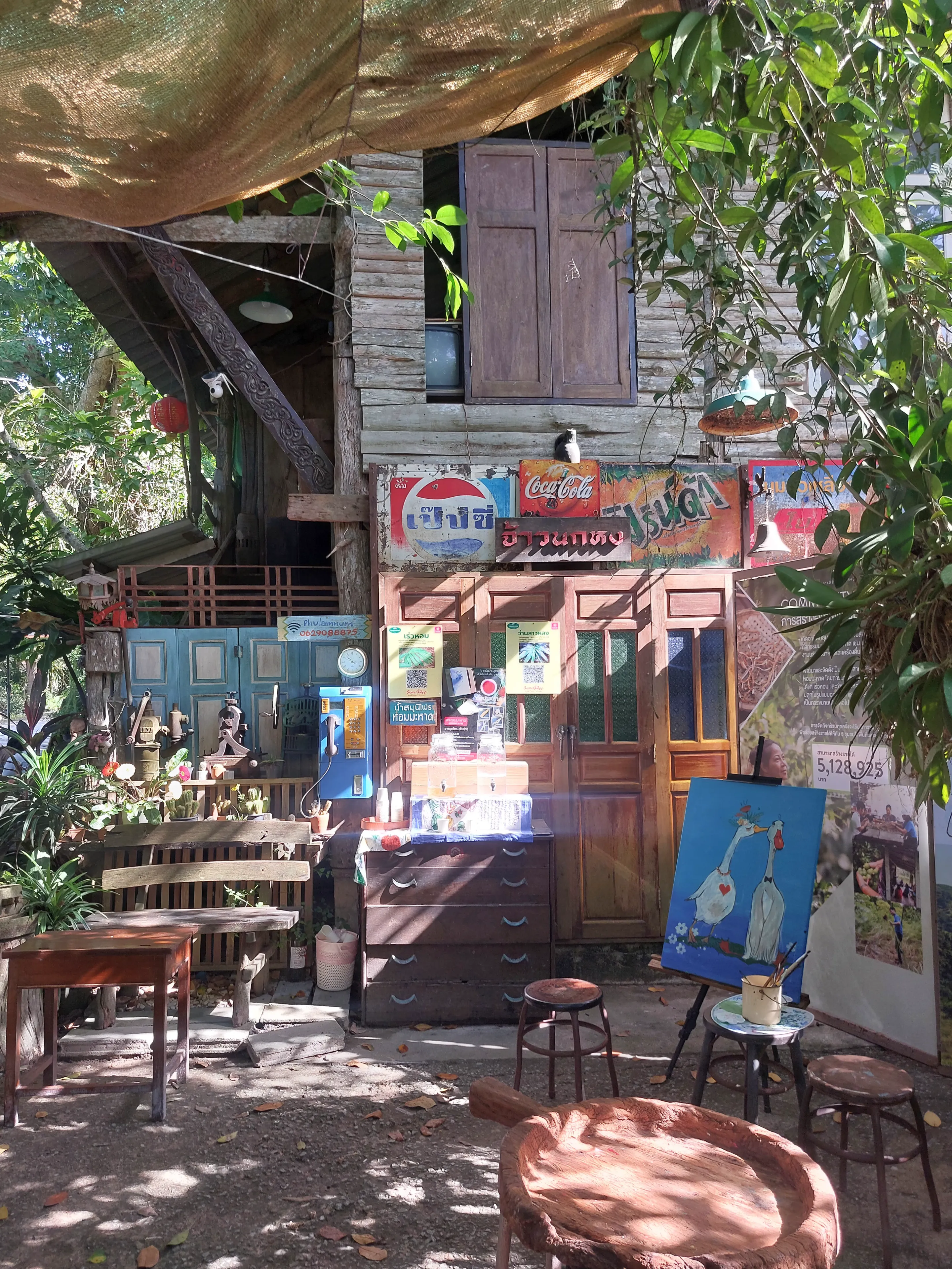 คาเฟ่ลับ ๆ Mhuan fun cafe & art | แกลเลอรีที่โพสต์โดย ตัวตันทราเวล | Lemon8