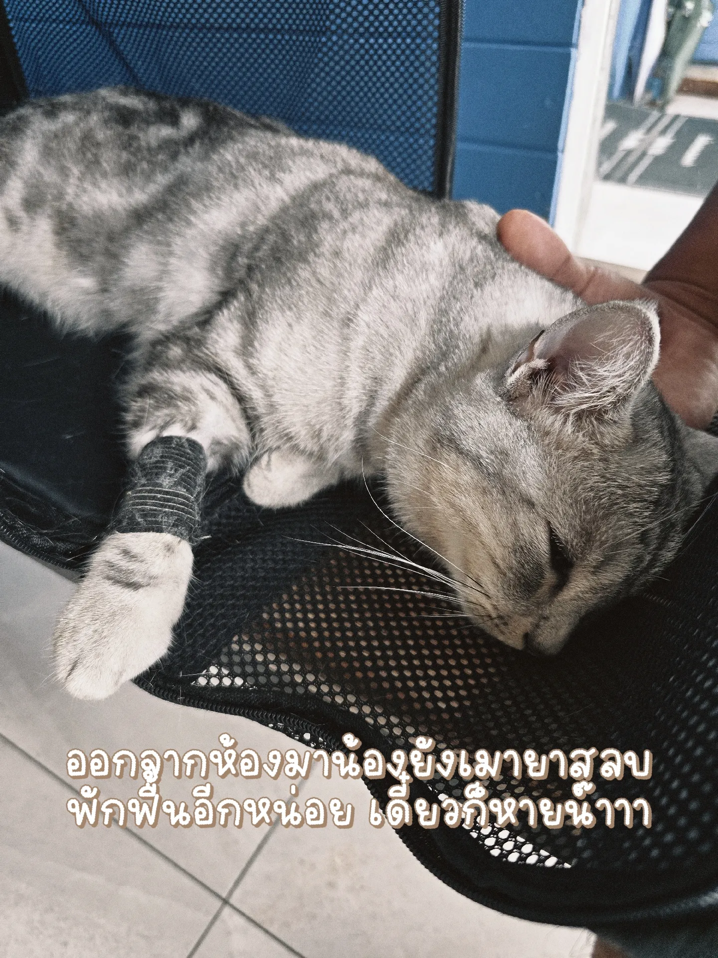 เชือกเส้นนี้ หมื่นสาม !! | แกลเลอรีที่โพสต์โดย Give Areep | Lemon8