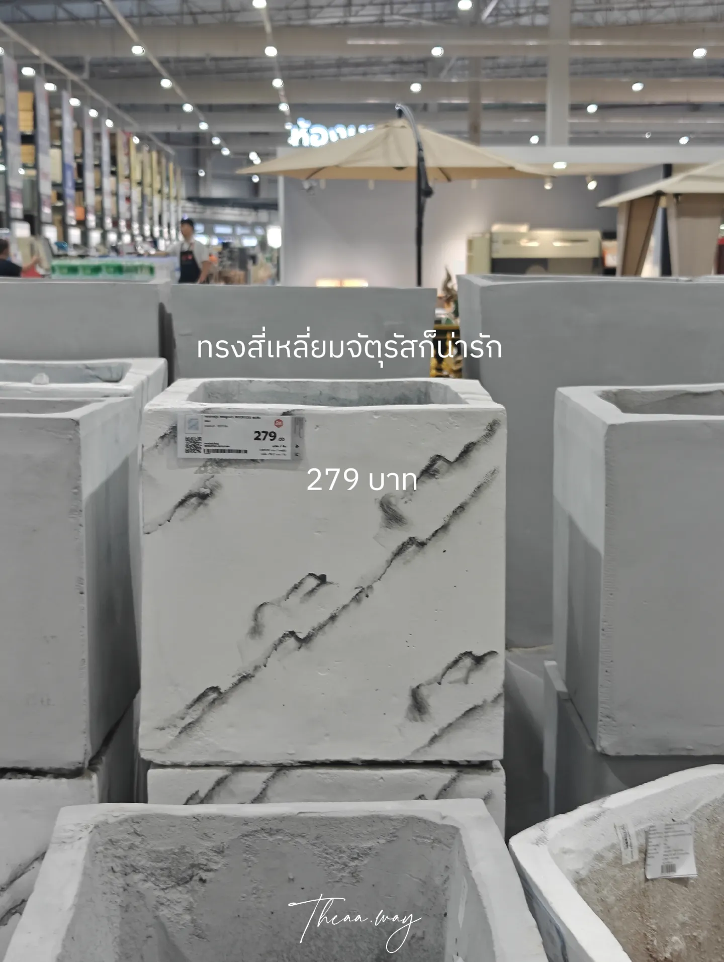 พาส่อง พิกัด กระถางปูน ปลูกต้นไม้ minimal | แกลเลอรีที่โพสต์โดย theaa ...