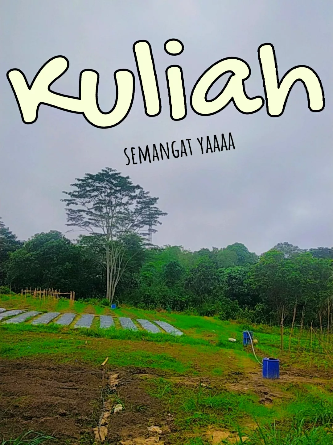 Buat yang lagi kuliah, Semangat!! | Galeri diposting oleh kenkoo | Lemon8