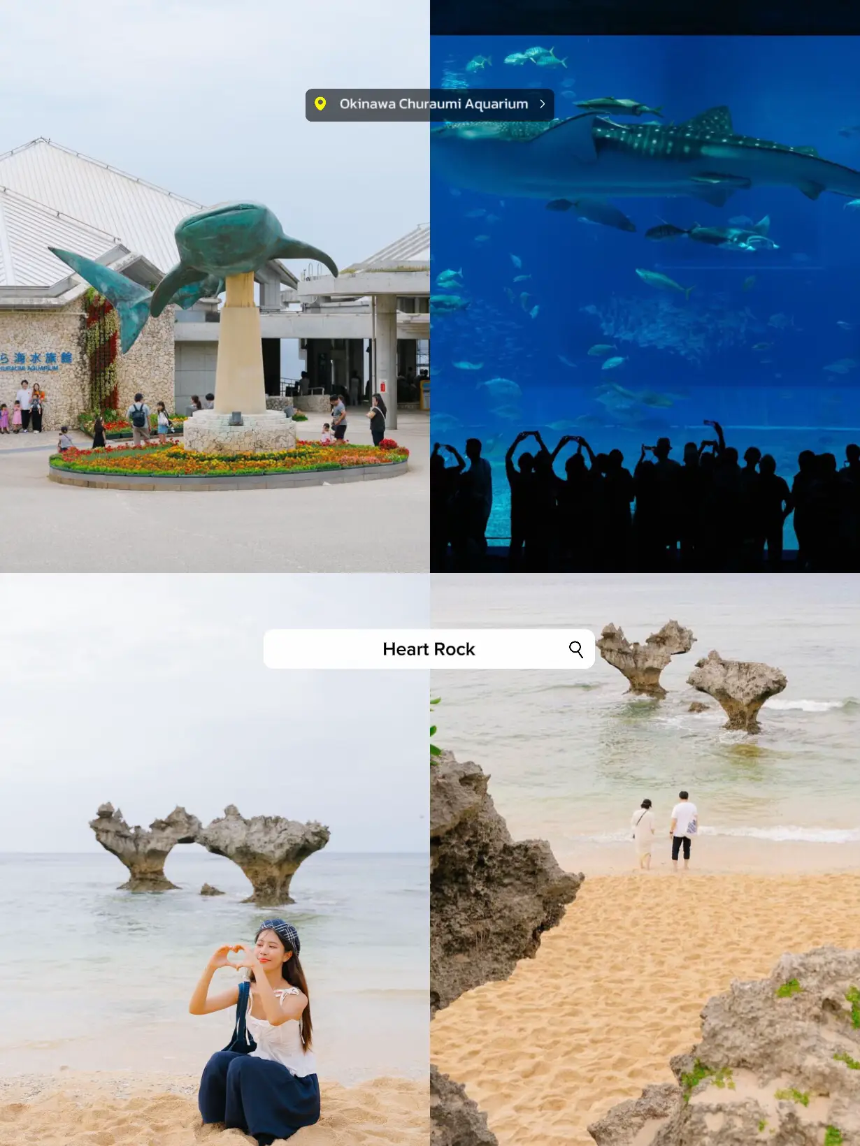 แจกแพลนเที่ยว Okinawa 5 วัน 4 คืน 🐋🇯🇵🌺 | แกลเลอรีที่โพสต์โดย lbzero | Lemon8