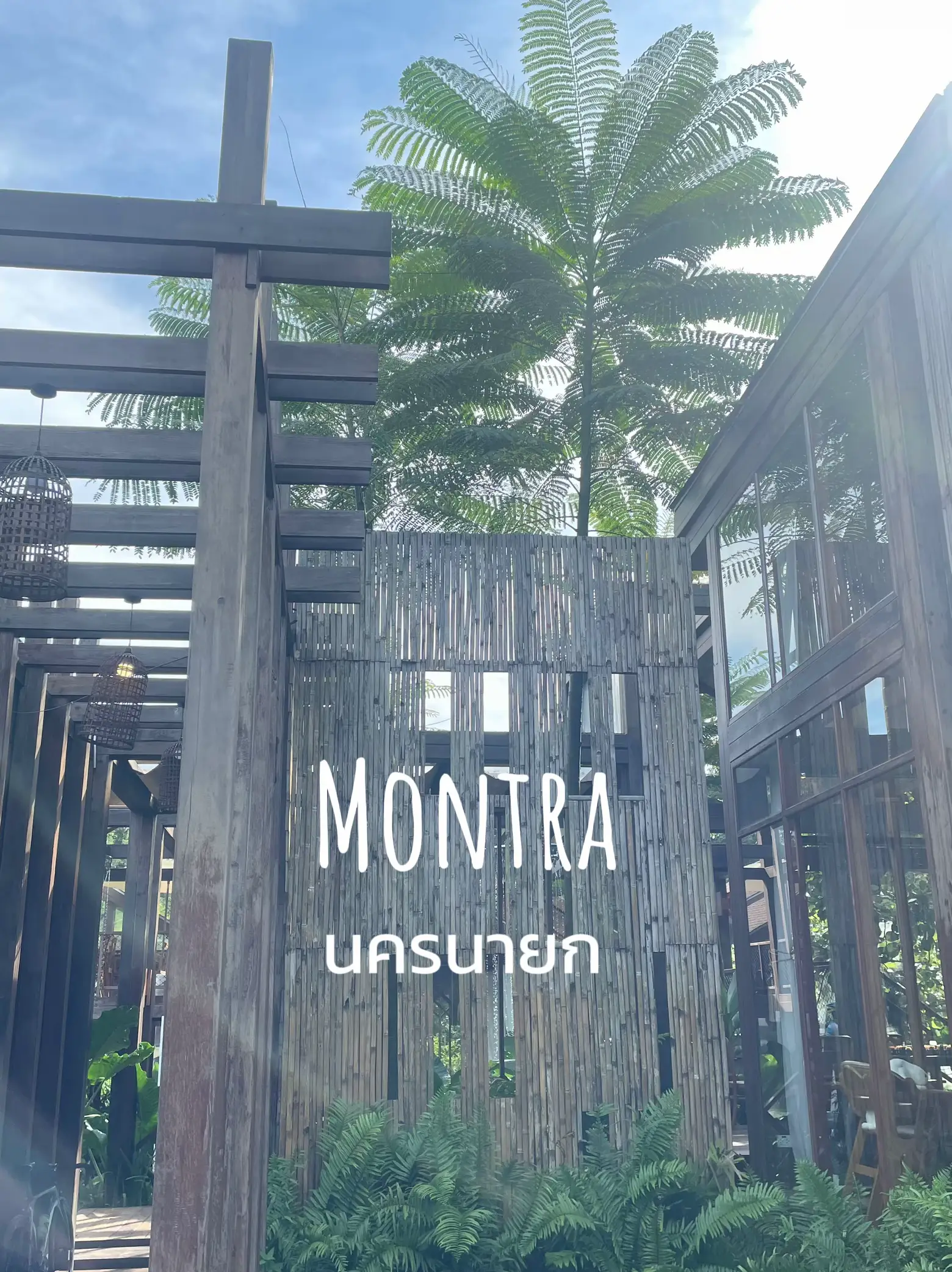 Montra cafe & นครนายก 🌳 | แกลเลอรีที่โพสต์โดย ฮาโย๋มายเฟนนน👋🏼 | Lemon8