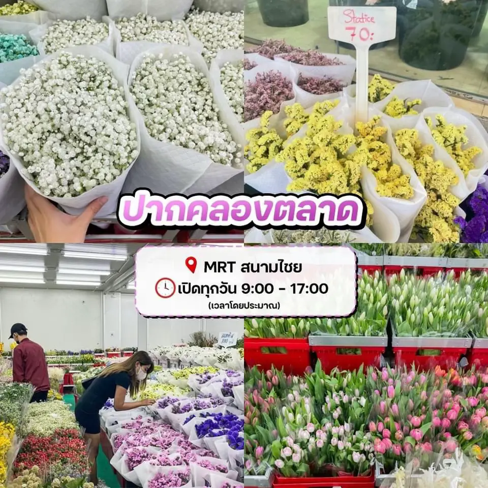 แจกพิกัด 10 ที่เที่ยวฮีลใจสายอินโทรเวิร์ต 🌷 | แกลเลอรีที่โพสต์โดย Proxumer | Lemon8