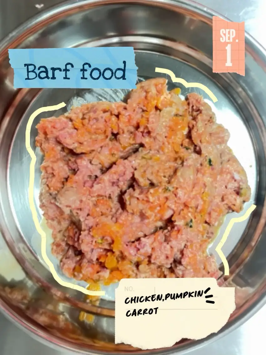 อาหารสัตว์ บาร์ฟ - การค้นหาใน Lemon8