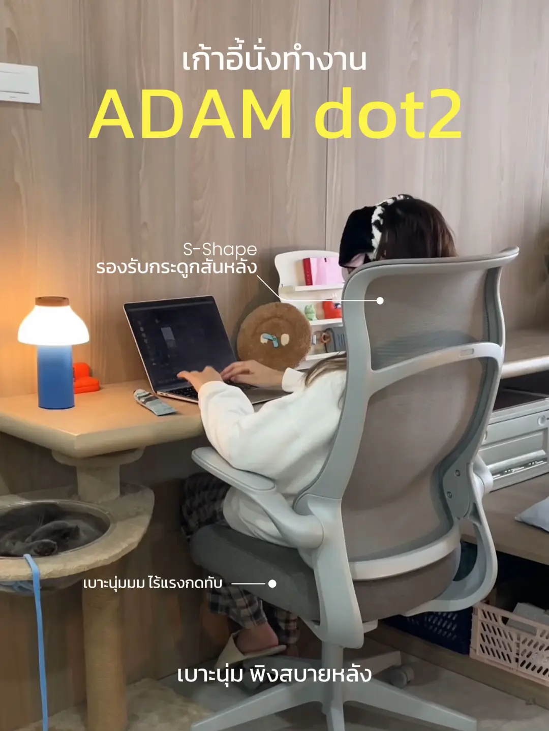 Unboxing📦เก้าอี้เพื่อสุขภาพหลัง สุดมินิมอล สายแต่งบ้านไม่มีไม่ได้💥 ...