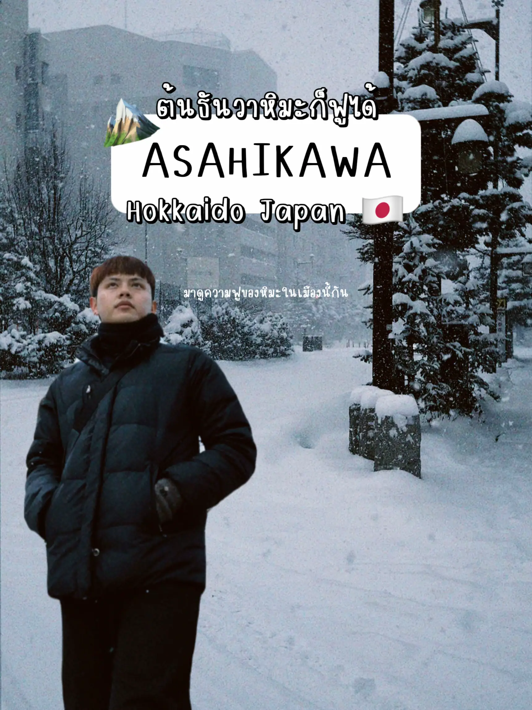 คู่มือท่องเที่ยว Asahikawa-Biei-Furano: สัมผัสความงามแห่ง Hokkaido