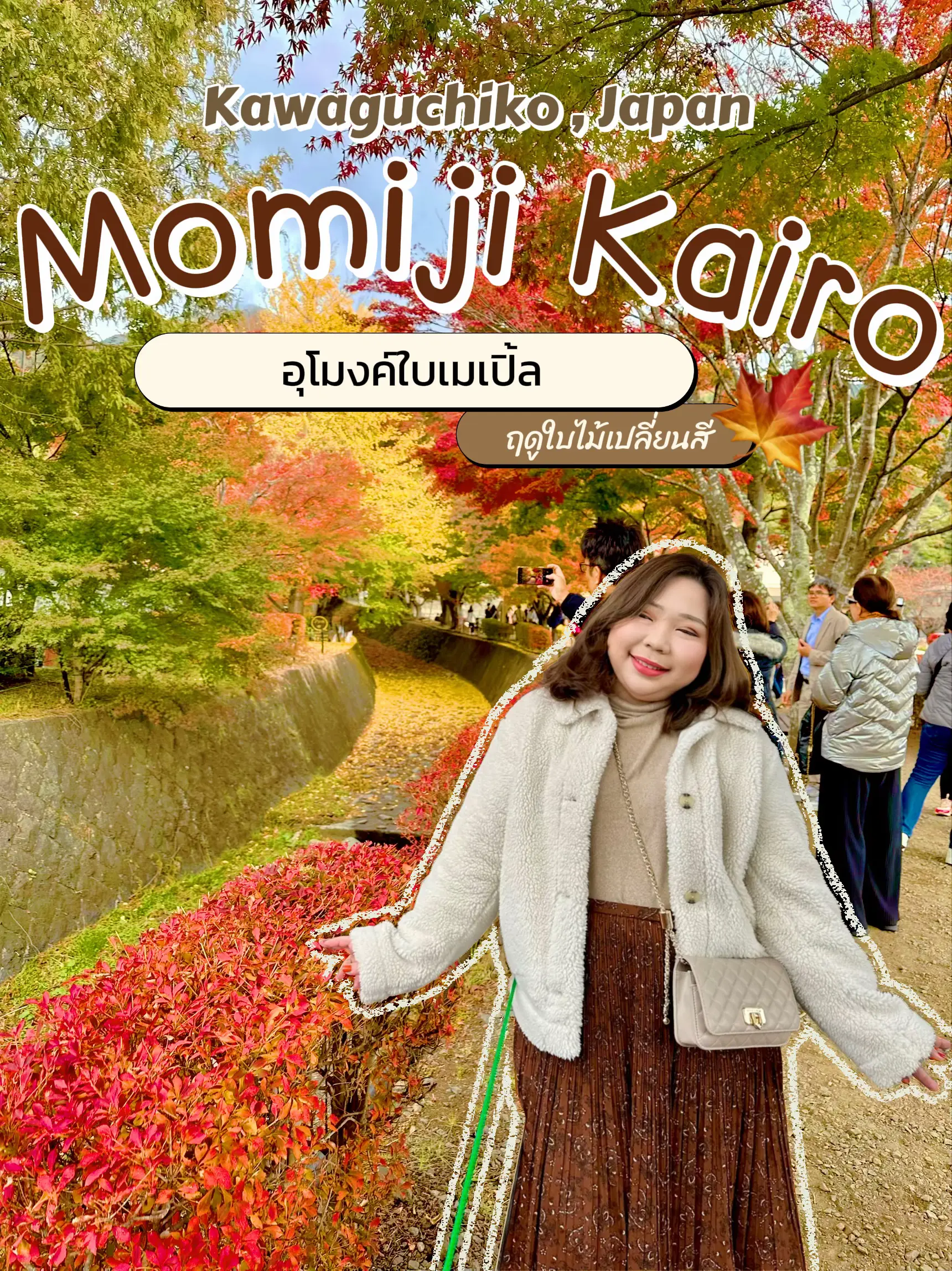 Save ด่วน!!!ใบไม้เปลี่ยนสีเดือนช่วง " ตค-พย "🍁Momiji Kair | แกลเลอรีที่ ...
