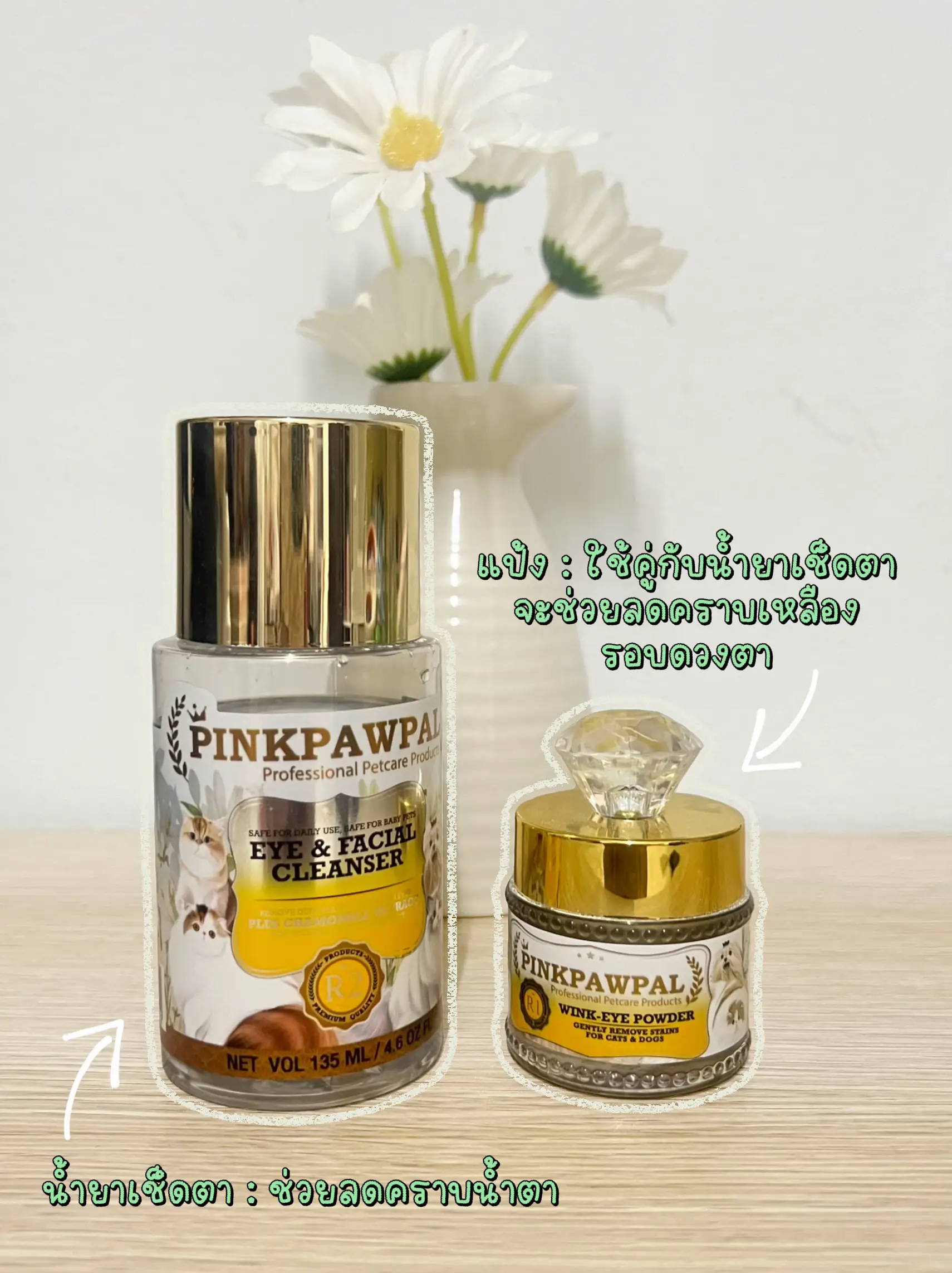 ของใช้น้องแมว ที่ควรมีติดบ้าน | แกลเลอรีที่โพสต์โดย Yves.tt | Lemon8