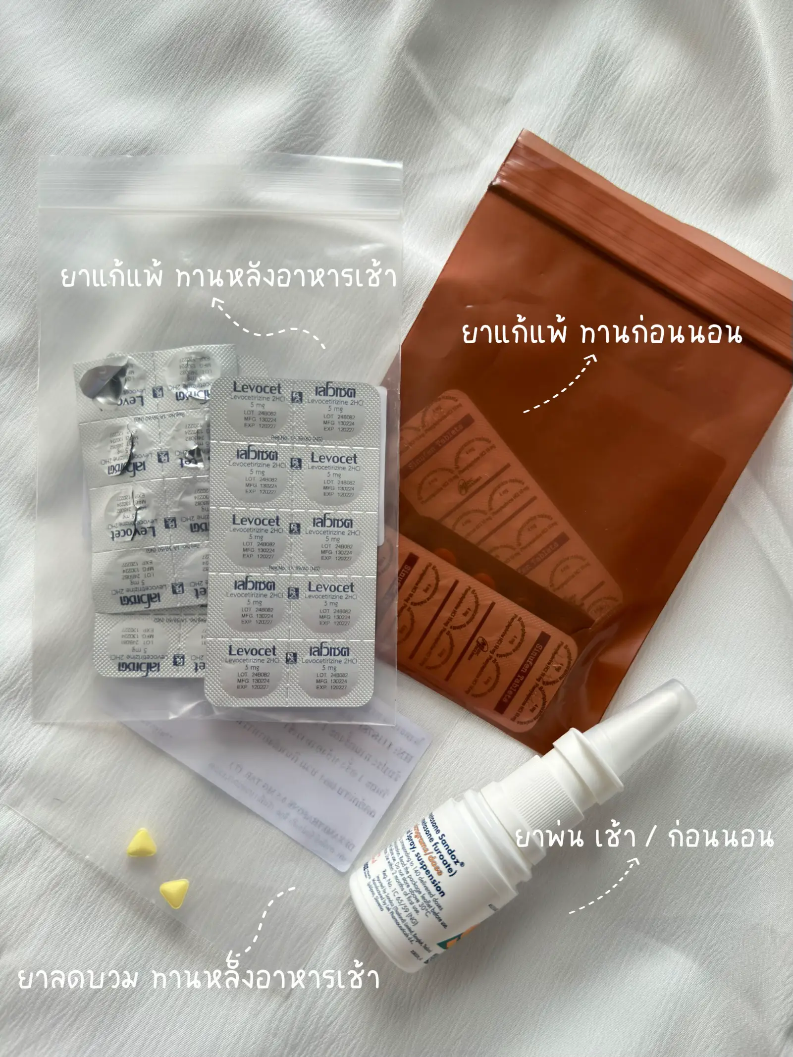 ชีวิตดีขึ้น เมื่อรักษาโรคภูมิแพ้ (อากาศ) 🤧 | แกลเลอรีที่โพสต์โดย momiz ...