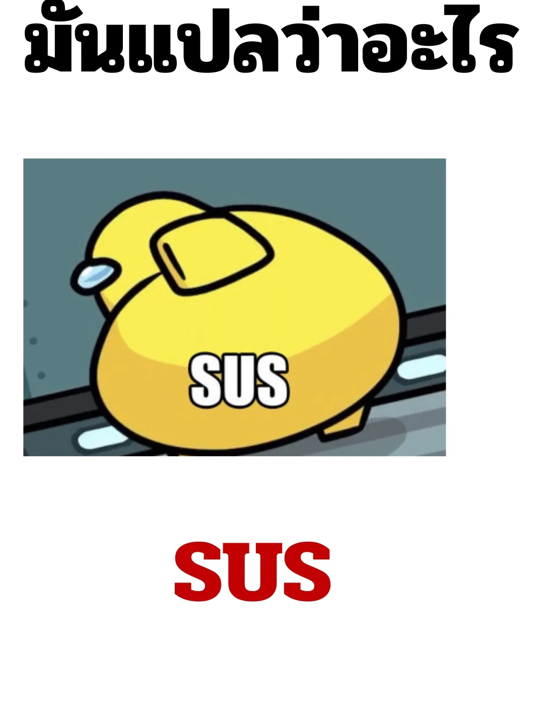 Sus ตามมีม แปลว่าอะไร??? | แกลเลอรีที่โพสต์โดย EnglishWithPoom | Lemon8
