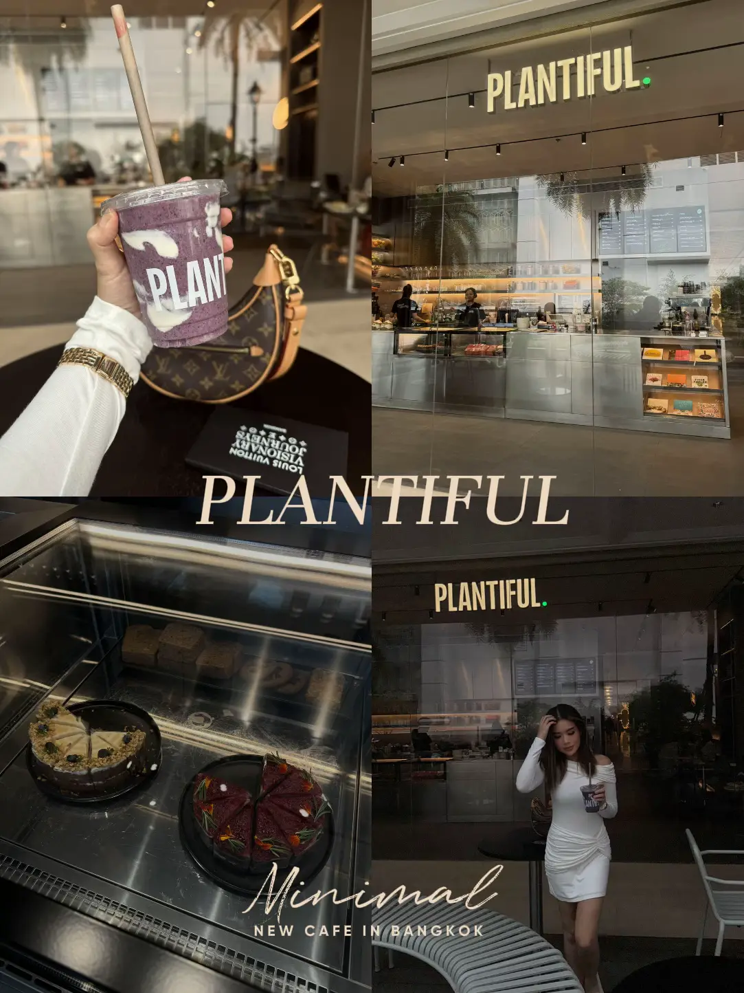 PLANTIFUL IN BANGKOK | แกลเลอรีที่โพสต์โดย A'Ris Nurintar | Lemon8