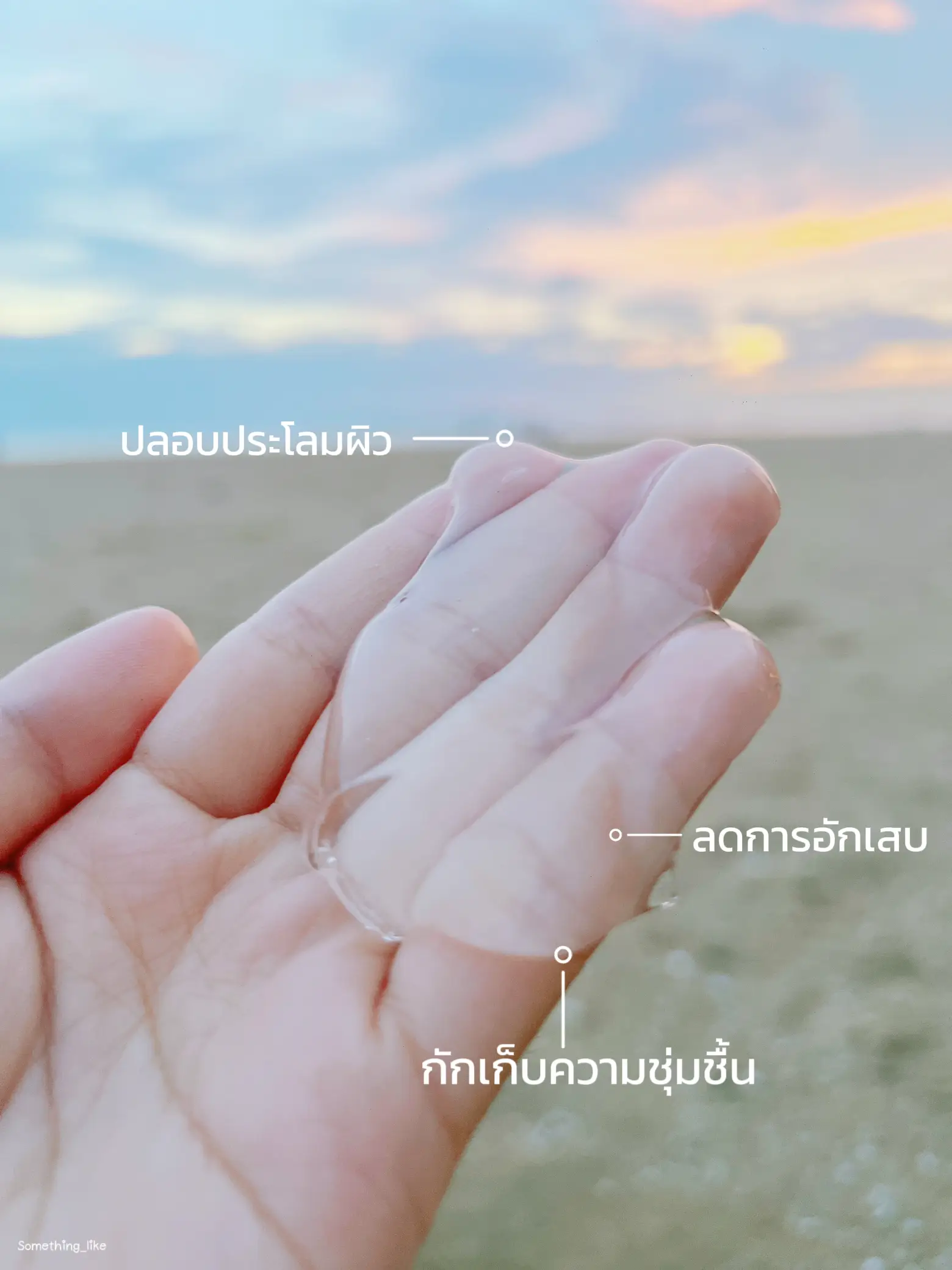 ประโยชน์ของ ”ว่านหางจระเข้” ที่รู้แล้วต้อง love | แกลเลอรีที่โพสต์โดย Something_like | Lemon8