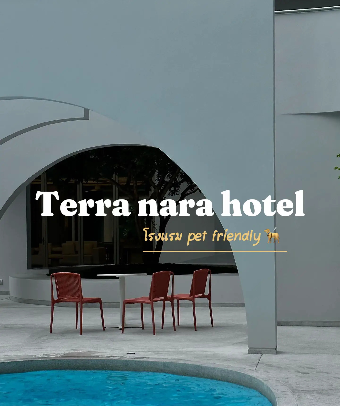 แนะนำ รร ที่พาน้องหมาน้องแมวมานอนกันค่ะ Terra nara hotel | แกลเลอรีที่โพสต์โดย 𝙉𝙪𝙨𝙧𝙖.𝙥 🌘 | Lemon8