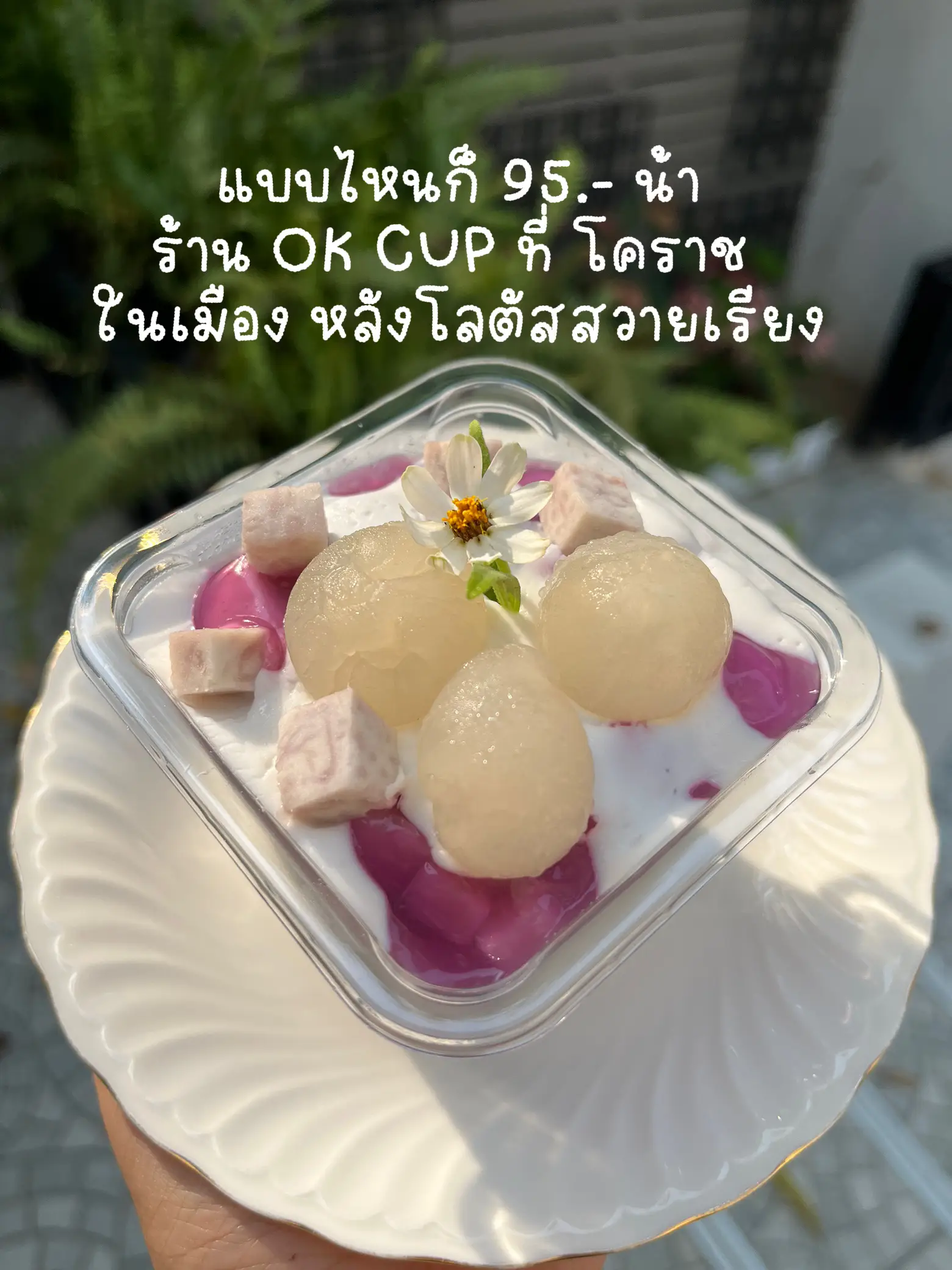 OK CUP CAFE เค้กลอดช่องวัดเจษ เค้กโฮมเมด | แกลเลอรีที่โพสต์โดย เจ๊นุ๊ก ...