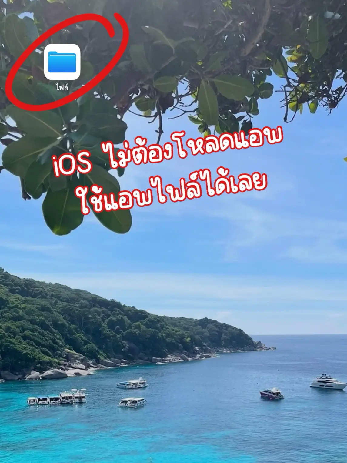 วิธีเก็บรูปเข้า Sandisk | 2024 ประสบการณ์ผู้ใช้จริงบน Lemon8