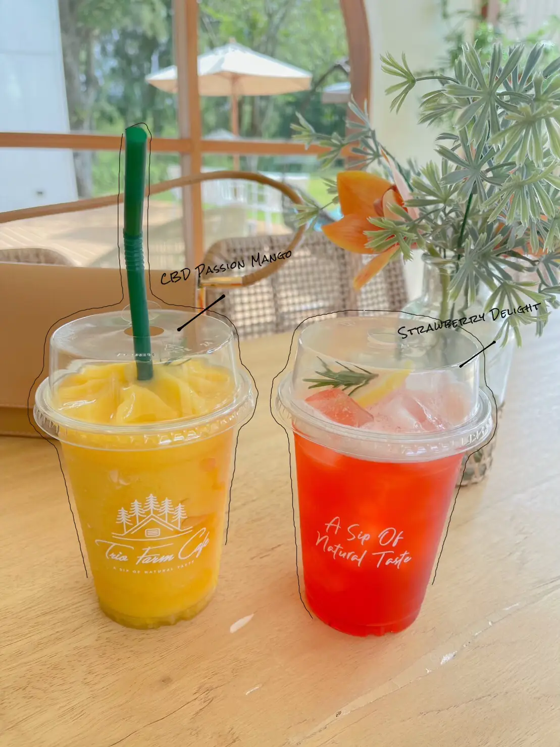 ร้านลับ แต่ไม่ลับ Trio Farm Cafe | แกลเลอรีที่โพสต์โดย Angkana 🪴🌲 | Lemon8