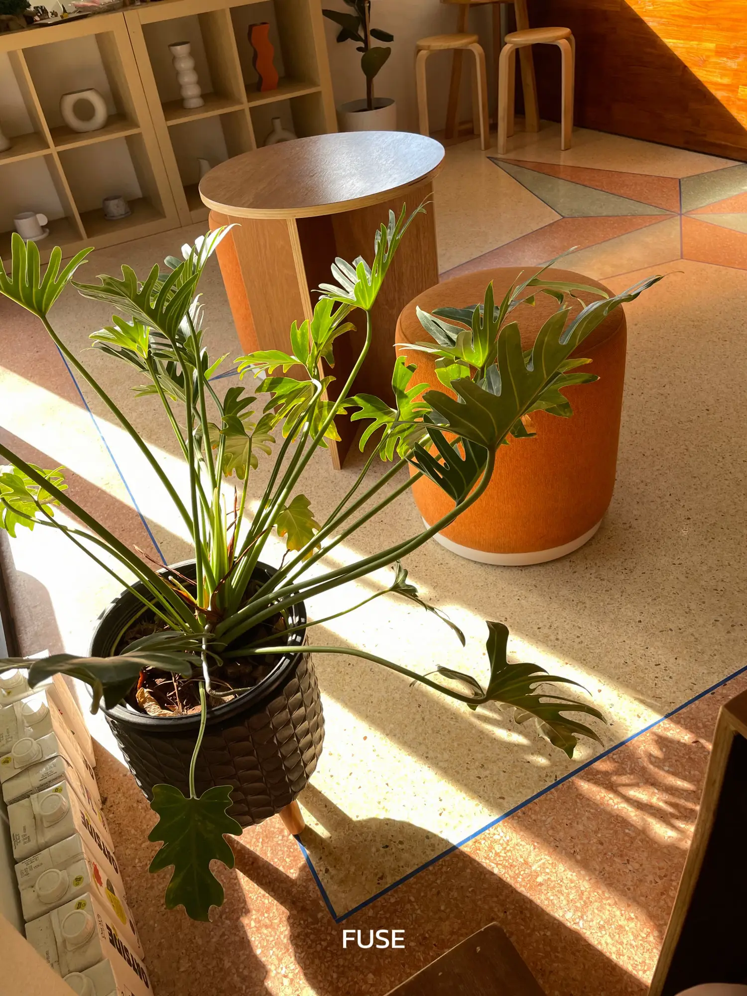 FUSE Home Cafe :) หน้ายิ้มต้อนรับ X’mas 🎅 🎄 🤶 | แกลเลอรีที่โพสต์โดย Pat. | Lemon8