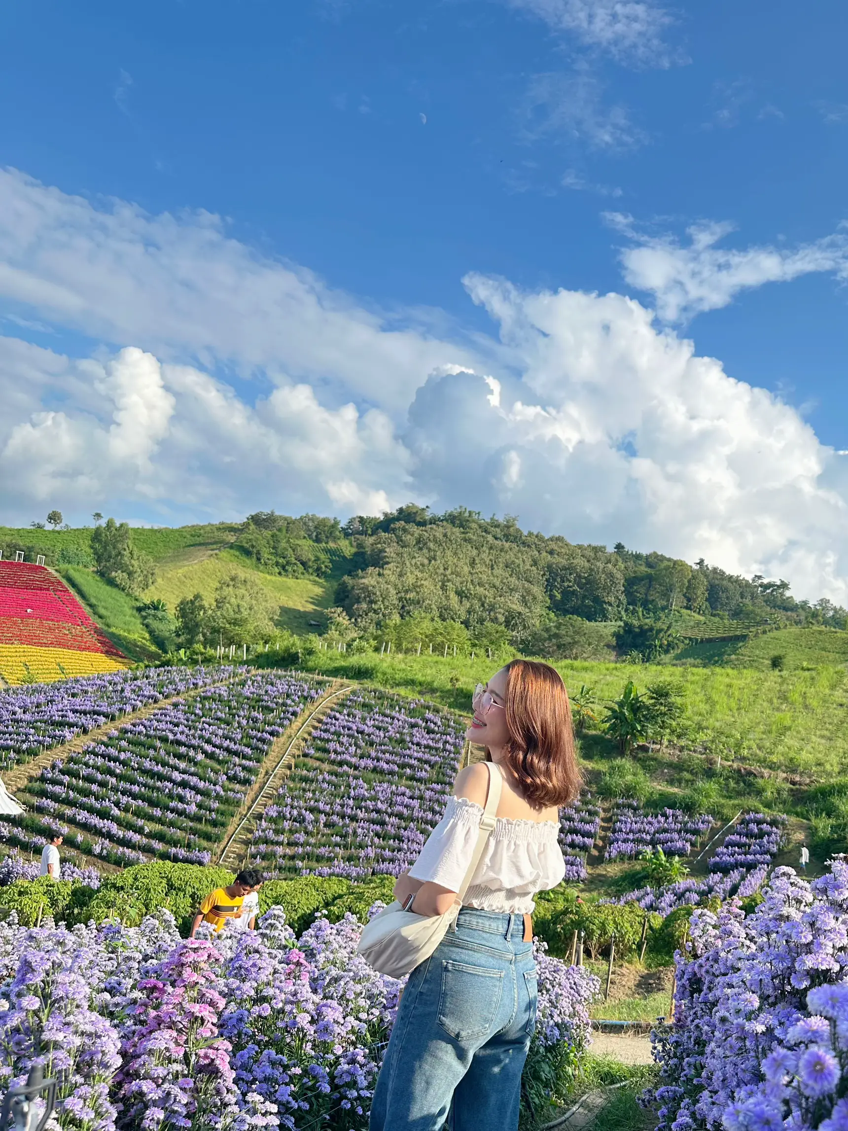 Hydrangea Cafe @Khao Kho | แกลเลอรีที่โพสต์โดย Gygee | Lemon8