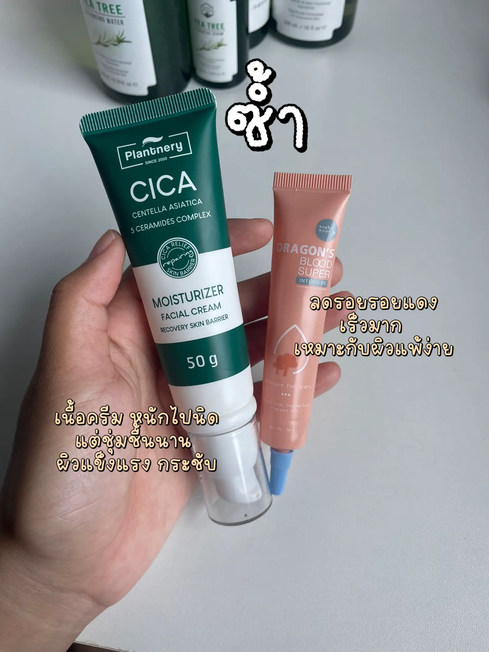 plantnery หรือ naturist แต่ละสูตร - การค้นหาใน Lemon8