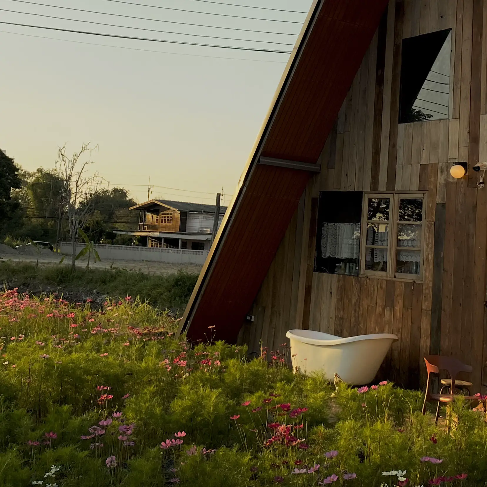 Faifo Forest • korat 🌸📸 #ไฟโฟ่ส่งท้ายซีซั่นสาม | แกลเลอรีที่โพสต์โดย เพจไปกับลุง | Lemon8