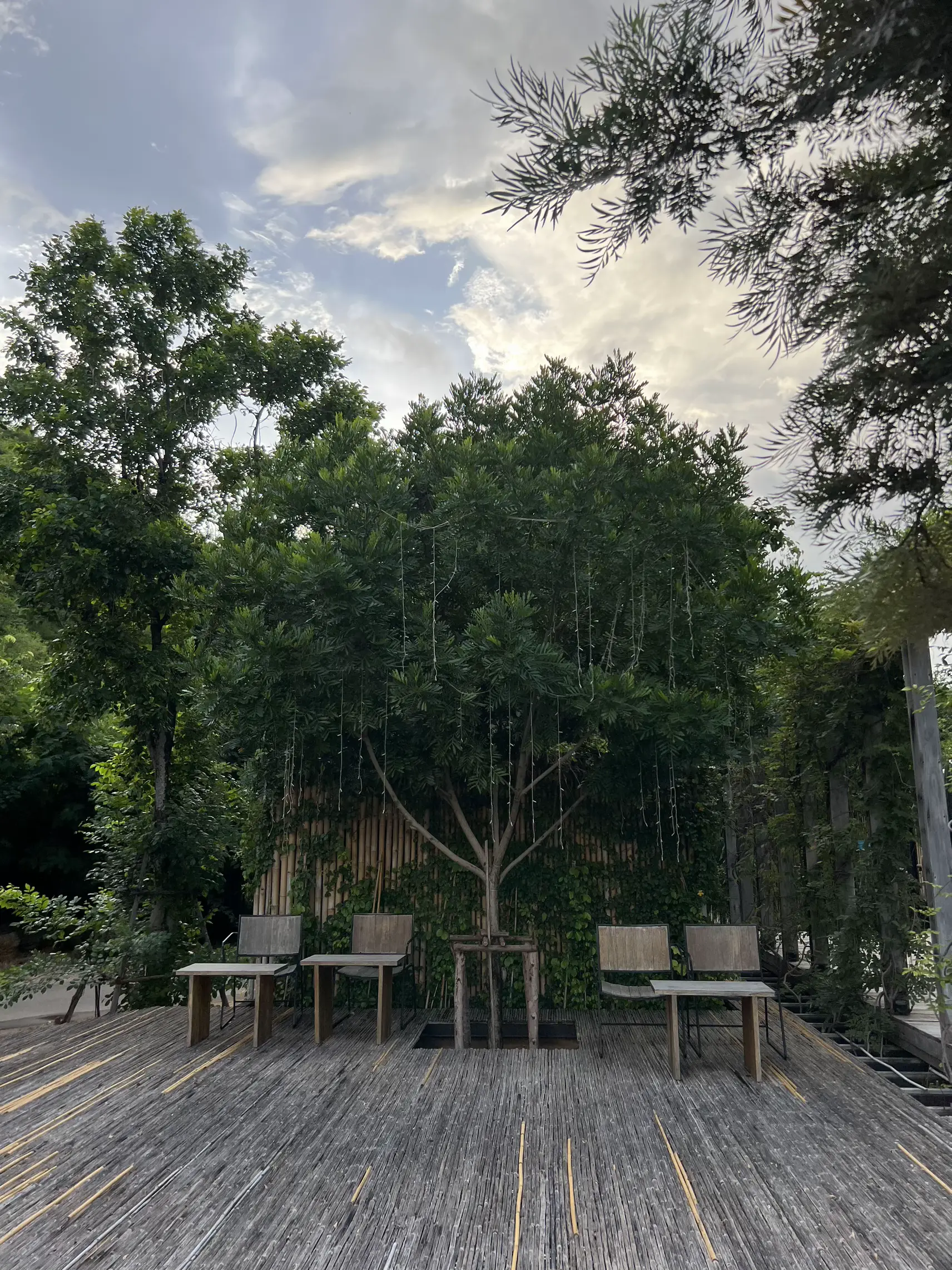 20 ไอเดียยอดนิยมเกี่ยวกับ เบียร์ Budweiser 7-11 ในปี 2024