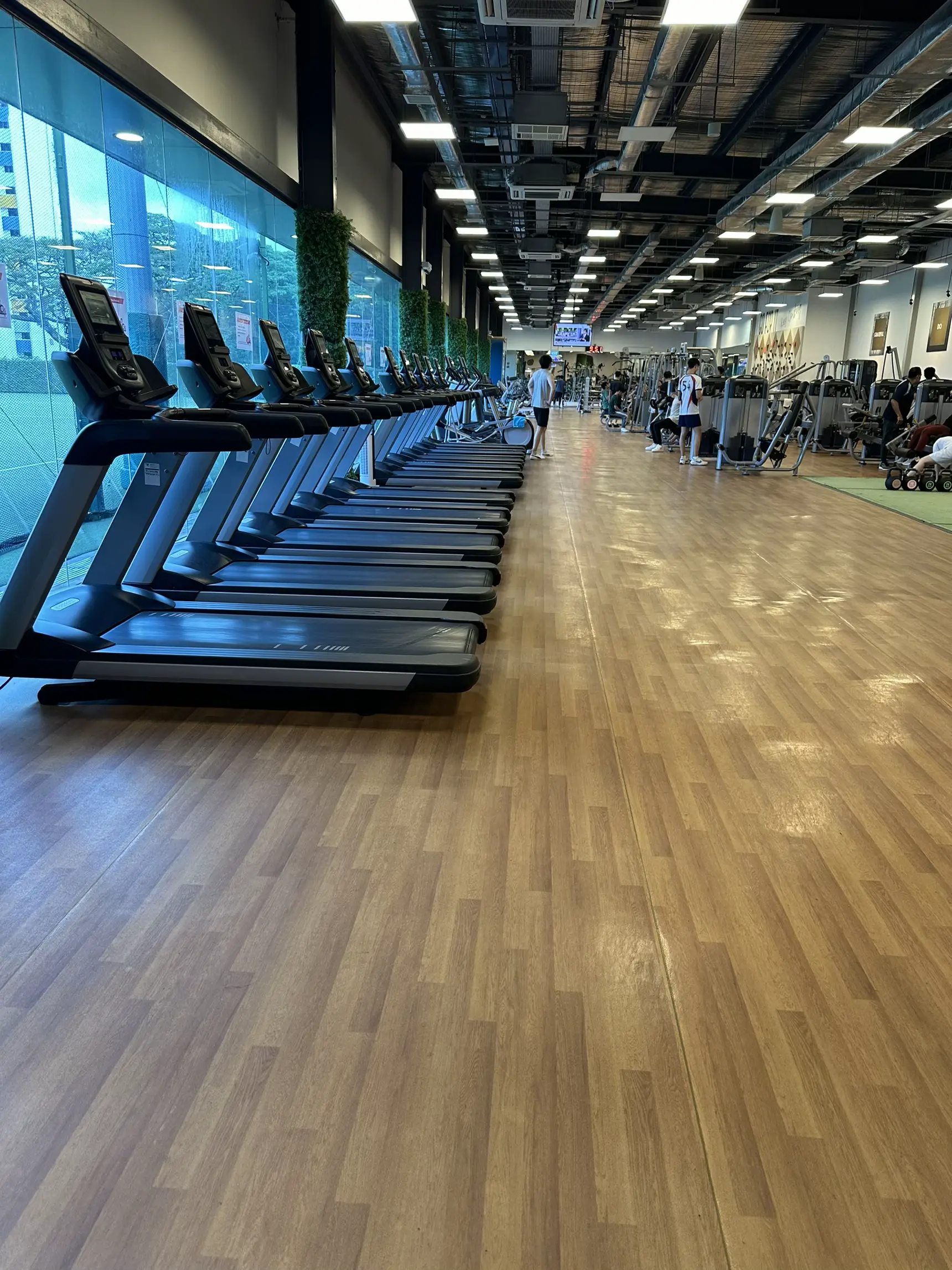 Free gym in Singapore ? | Gallery posted by FrenchFriesGin | Lemon8
