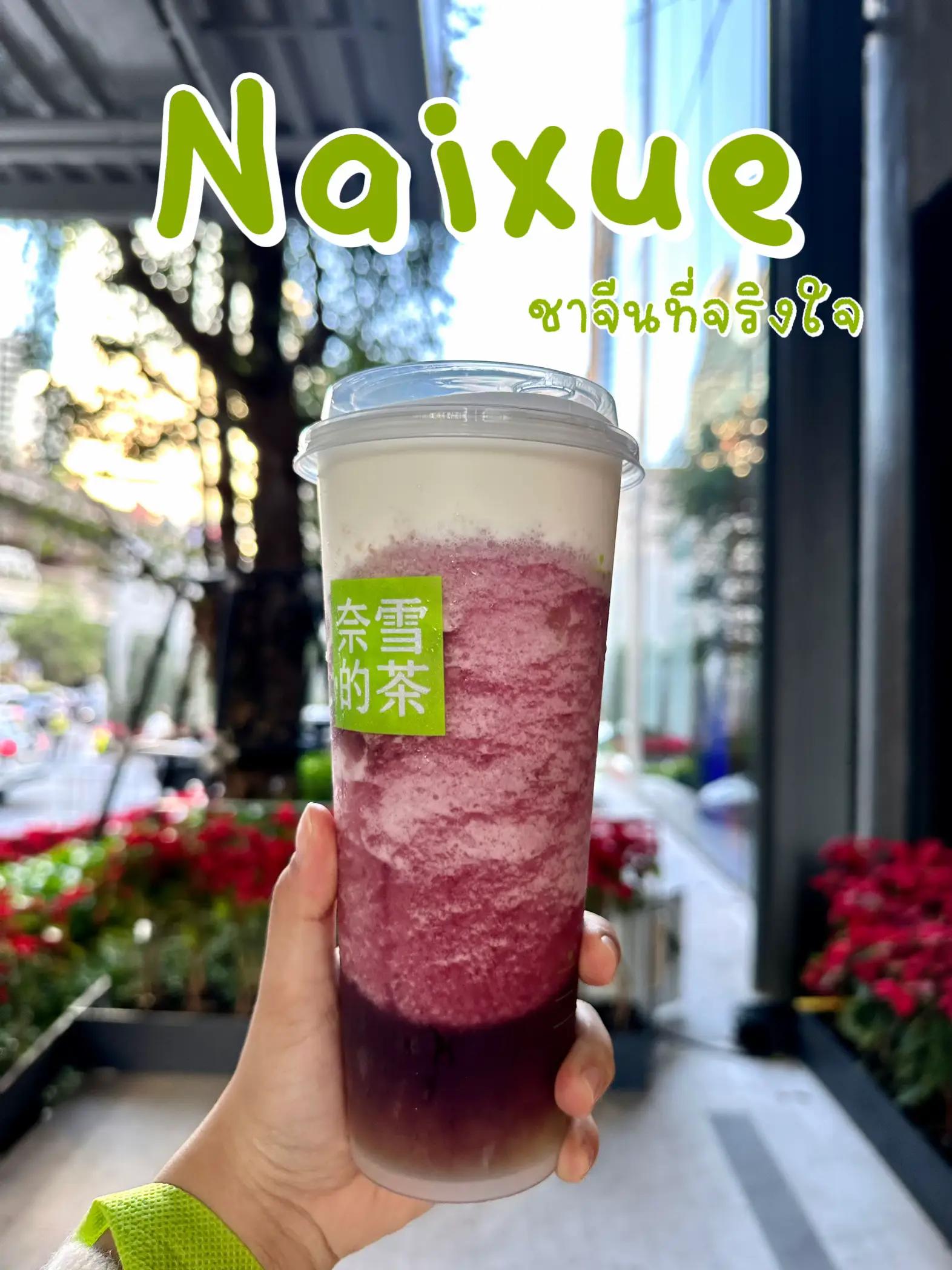 Naixue แบรนด์ชาจีนระดับไฮเอนด์ | แกลเลอรีที่โพสต์โดย ChaAem | Lemon8