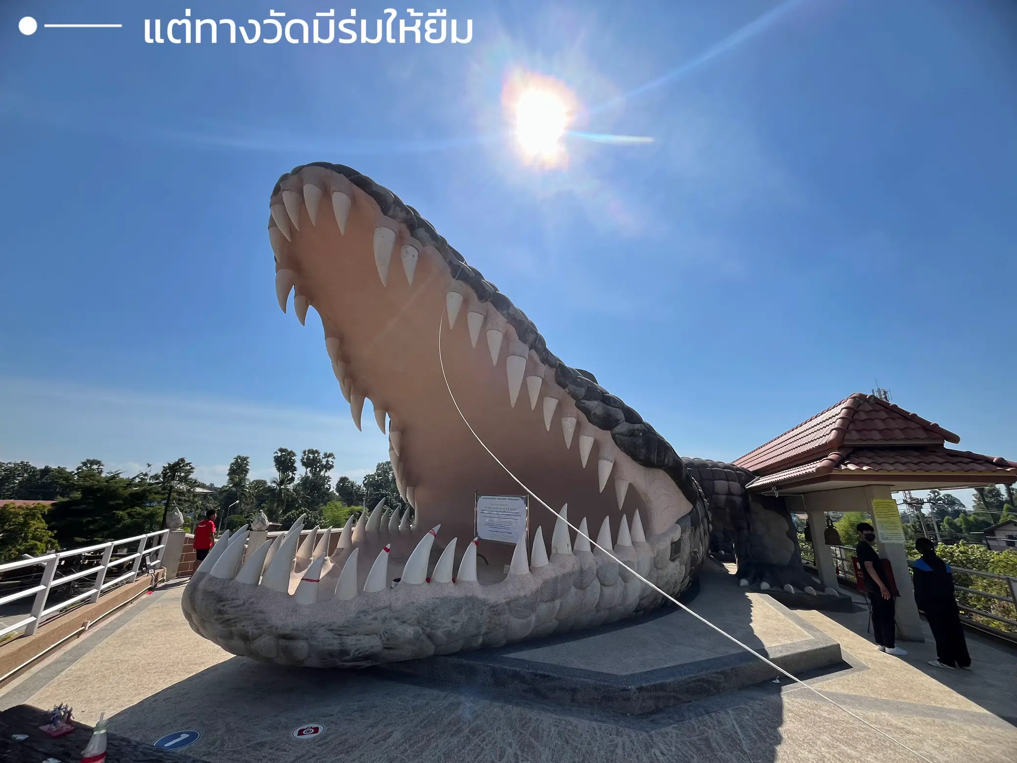 ไอ้ด่างเกยไชย | แกลเลอรีที่โพสต์โดย Weerayut | Lemon8