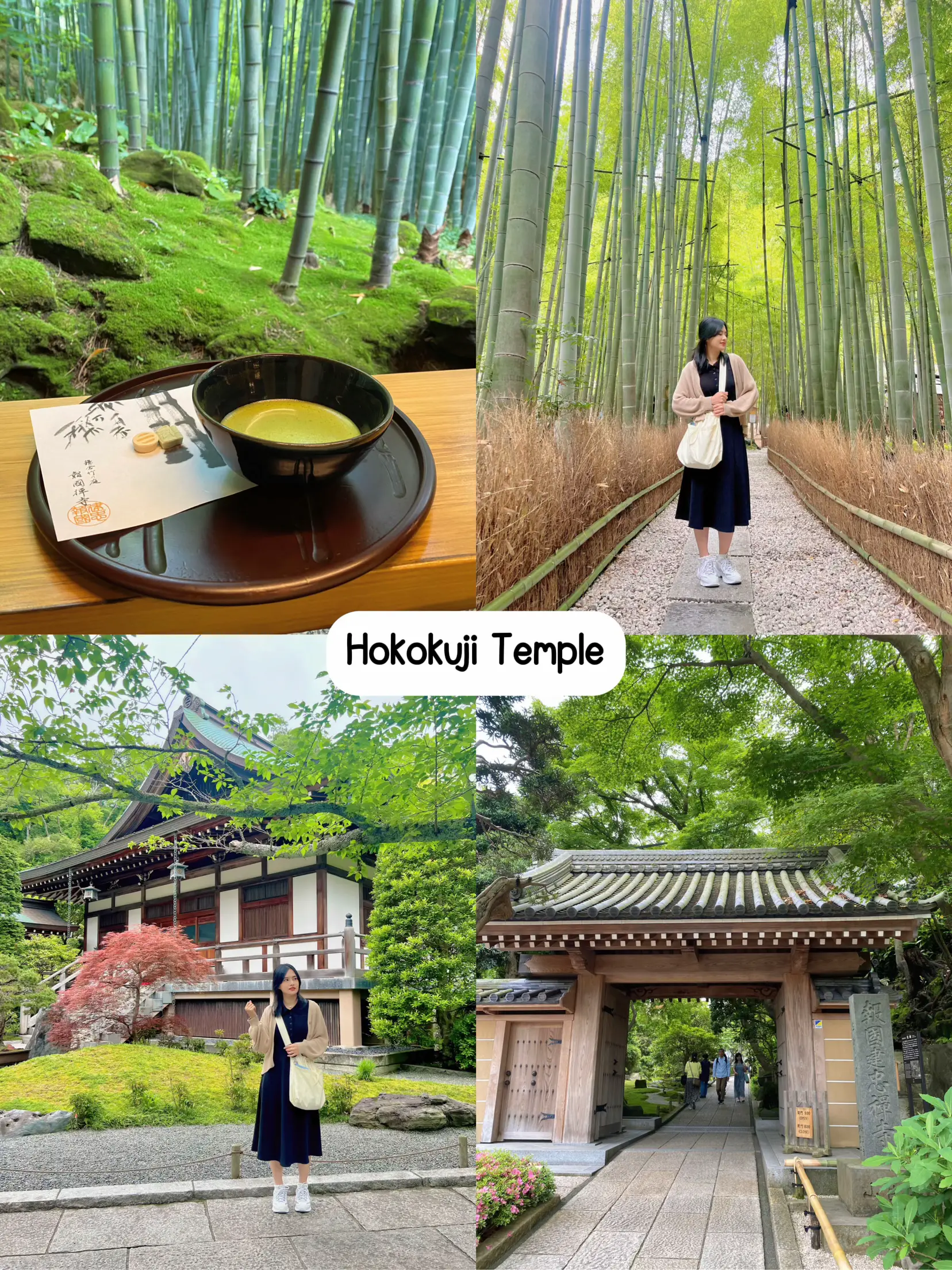 🌸 แชร์จุดเช็คอินญี่ปุ่น สายชิลฟีลสบายๆ May 2024 EP.1 🌷 | แกลเลอรีที่โพสต์โดย TOEii_KK | Lemon8