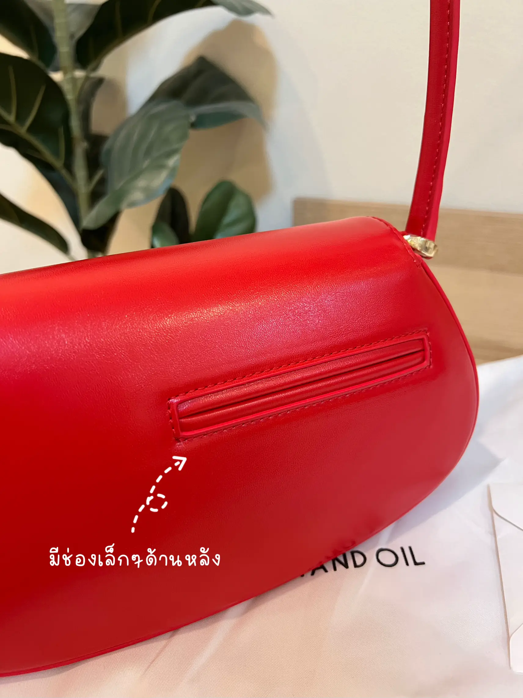 🍅 STAND OIL CLAM BAG 🍅 | แกลเลอรีที่โพสต์โดย Ploy Prangwalai | Lemon8