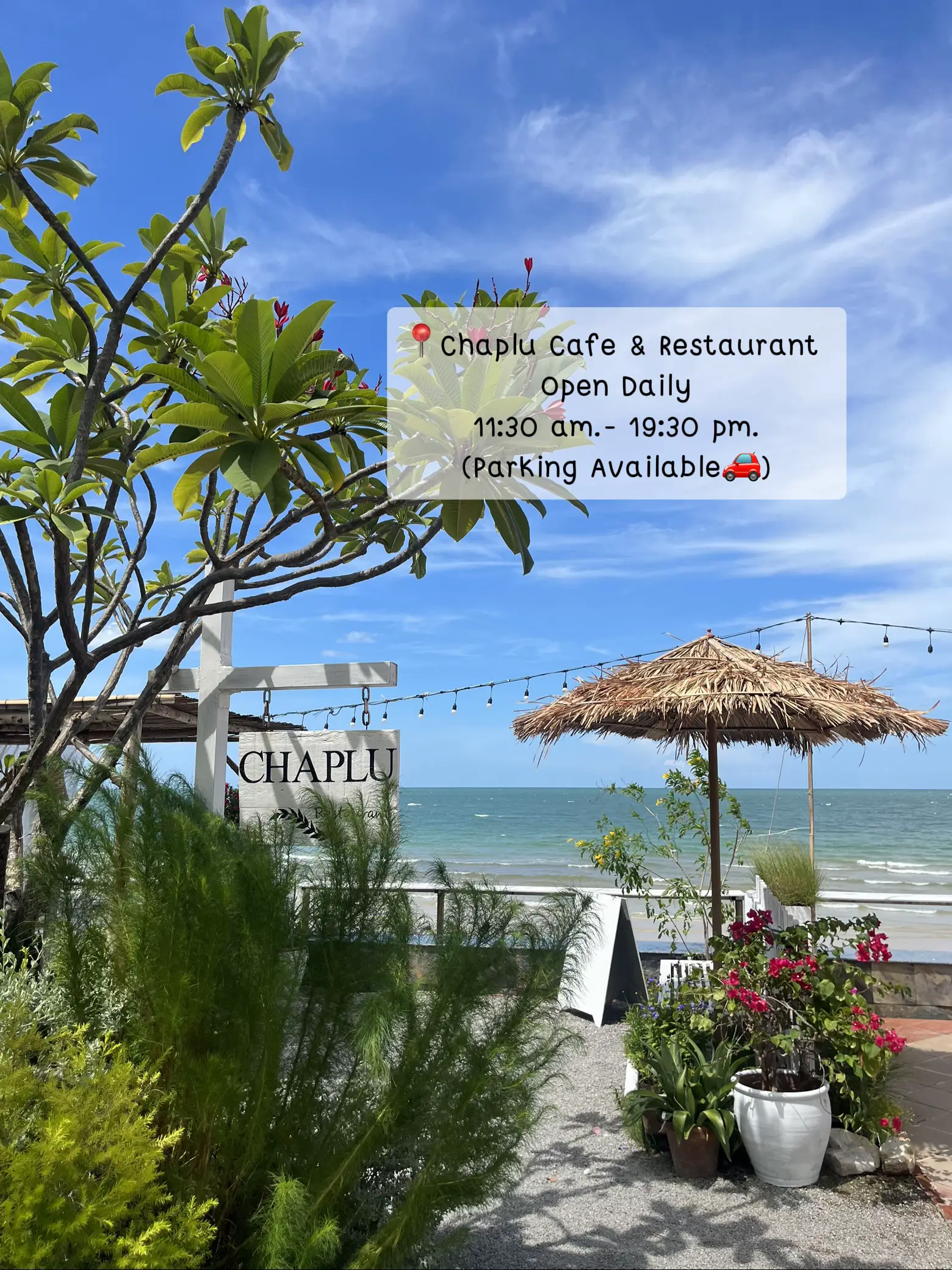 CHAPLU คาเฟ่สุดฮอตในหัวหิน มุมถ่ายรูปสวยมาก🐠🫧🌸 | แกลเลอรีที่โพสต์โดย ...