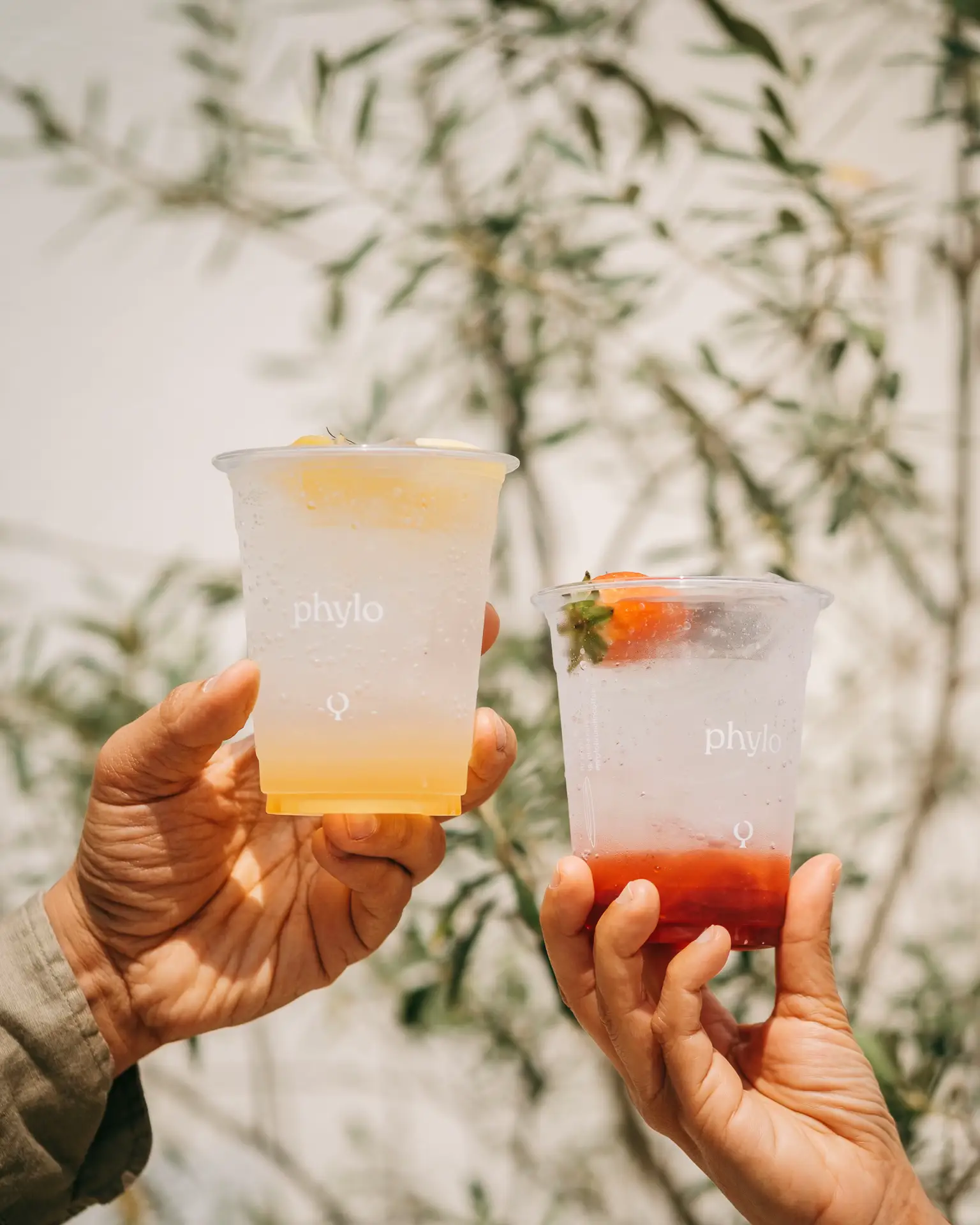 PHYLO (ฟิโล) คาเฟ่ฟีลเกาหลีอบอุ่นโฮมมี่ เปิดใหม่ในย่านสวนผัก | แกลเลอรีที่โพสต์โดย Rattomarty ...