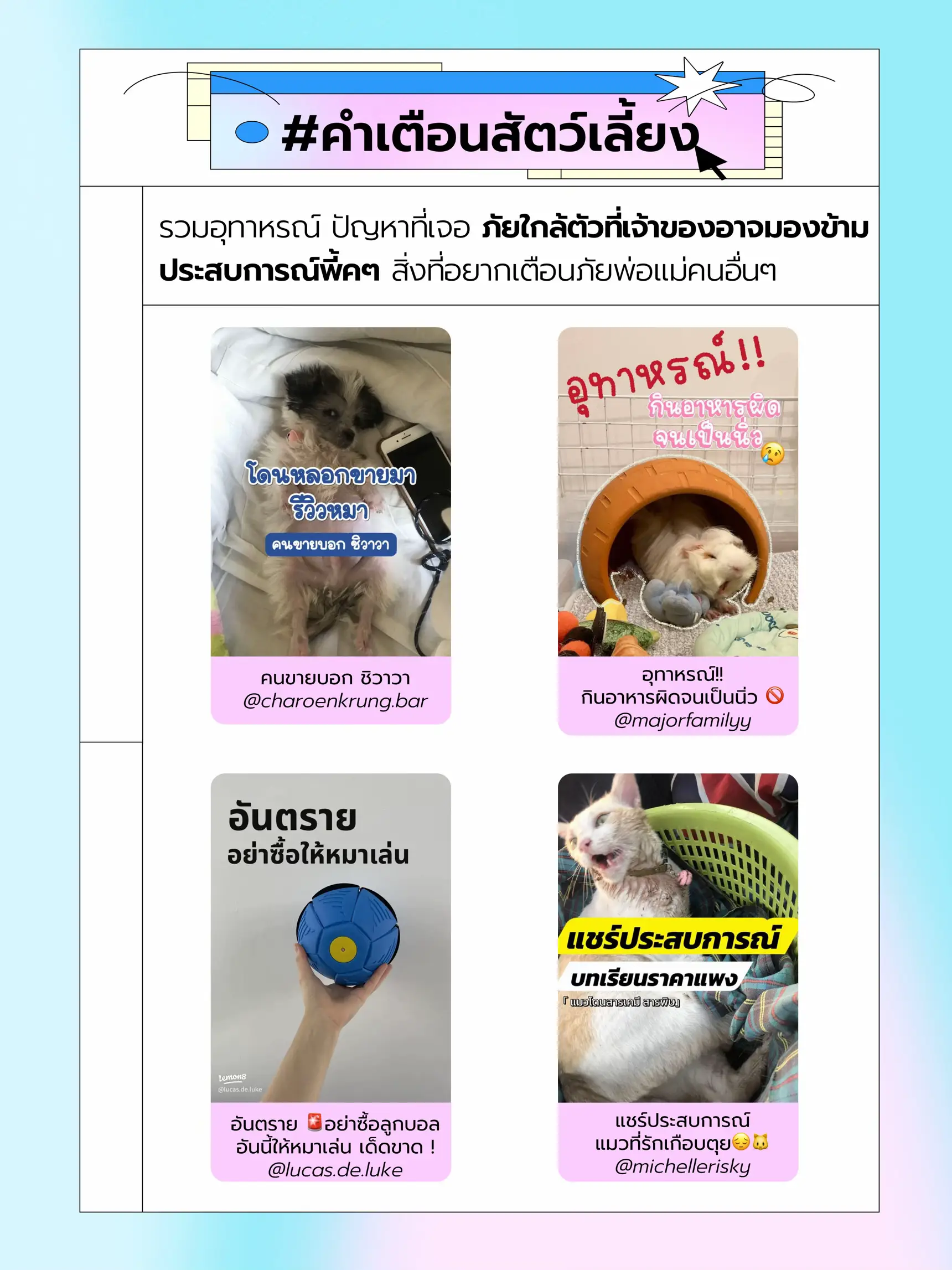 เปิดชมรมคนรักสัตว์เลี้ยง💖 สะสมคะแนนแลกรางวัล🪄 | แกลเลอรีที่โพสต์โดย Lemon8 Pet | Lemon8